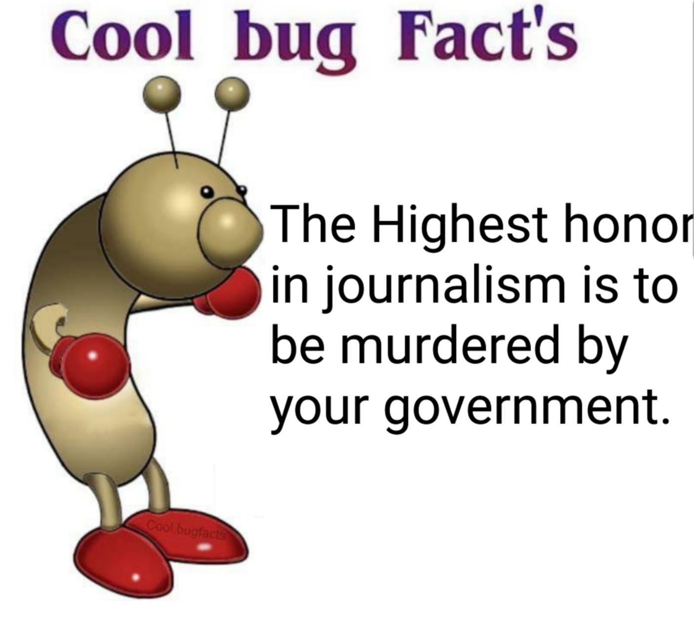 Cool Bug Facts Scrolller