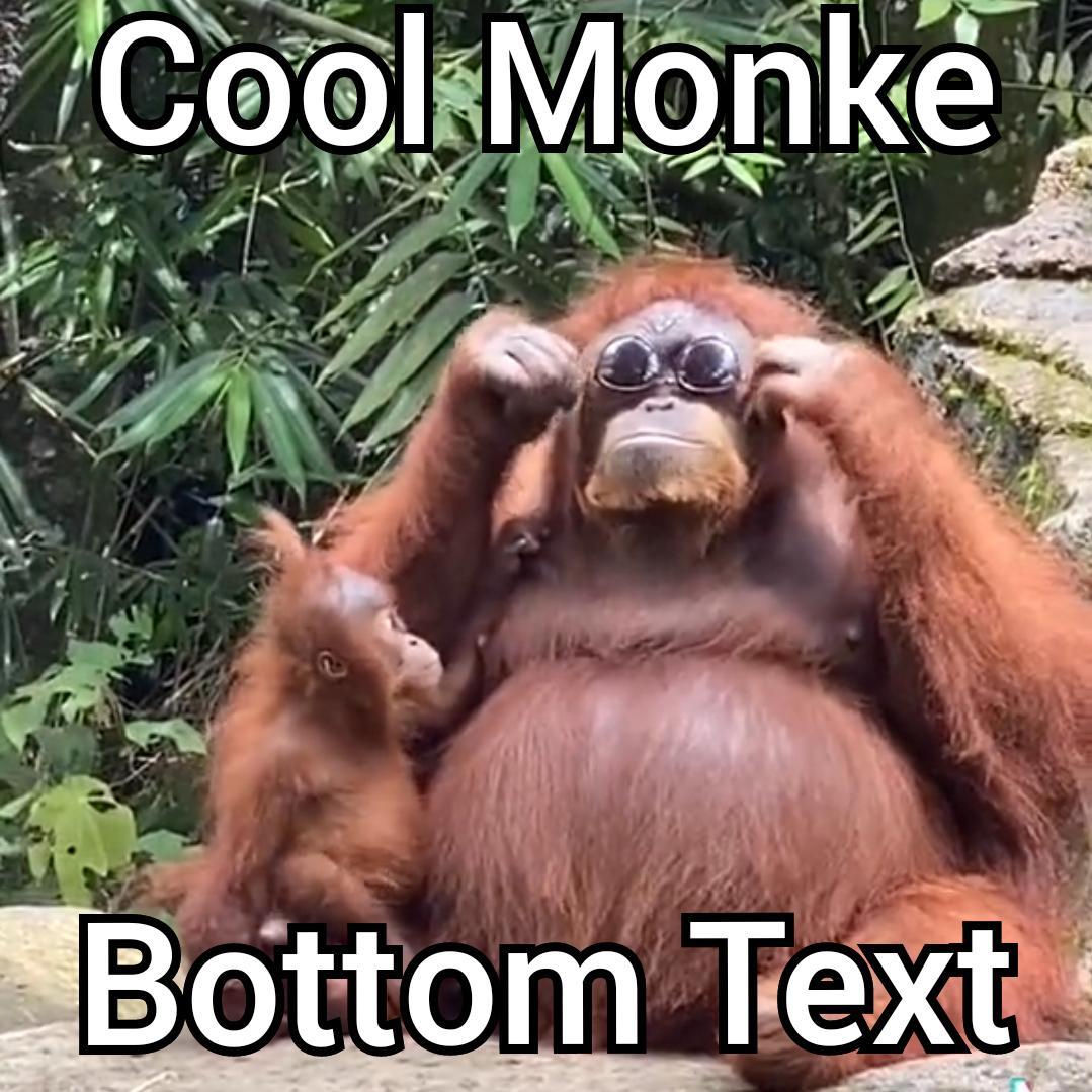 Cool Monke | Scrolller