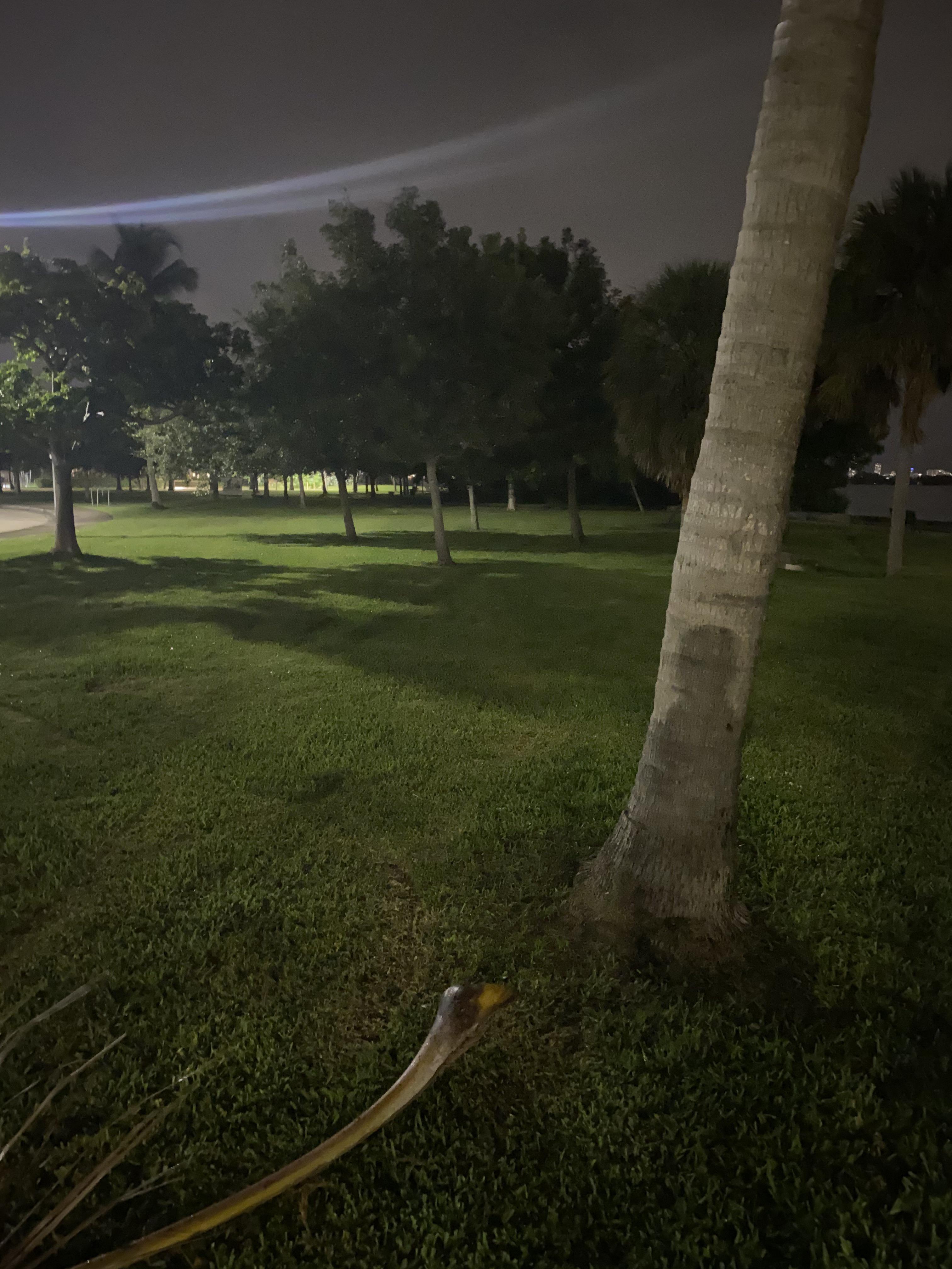 Cool out tonight | Scrolller