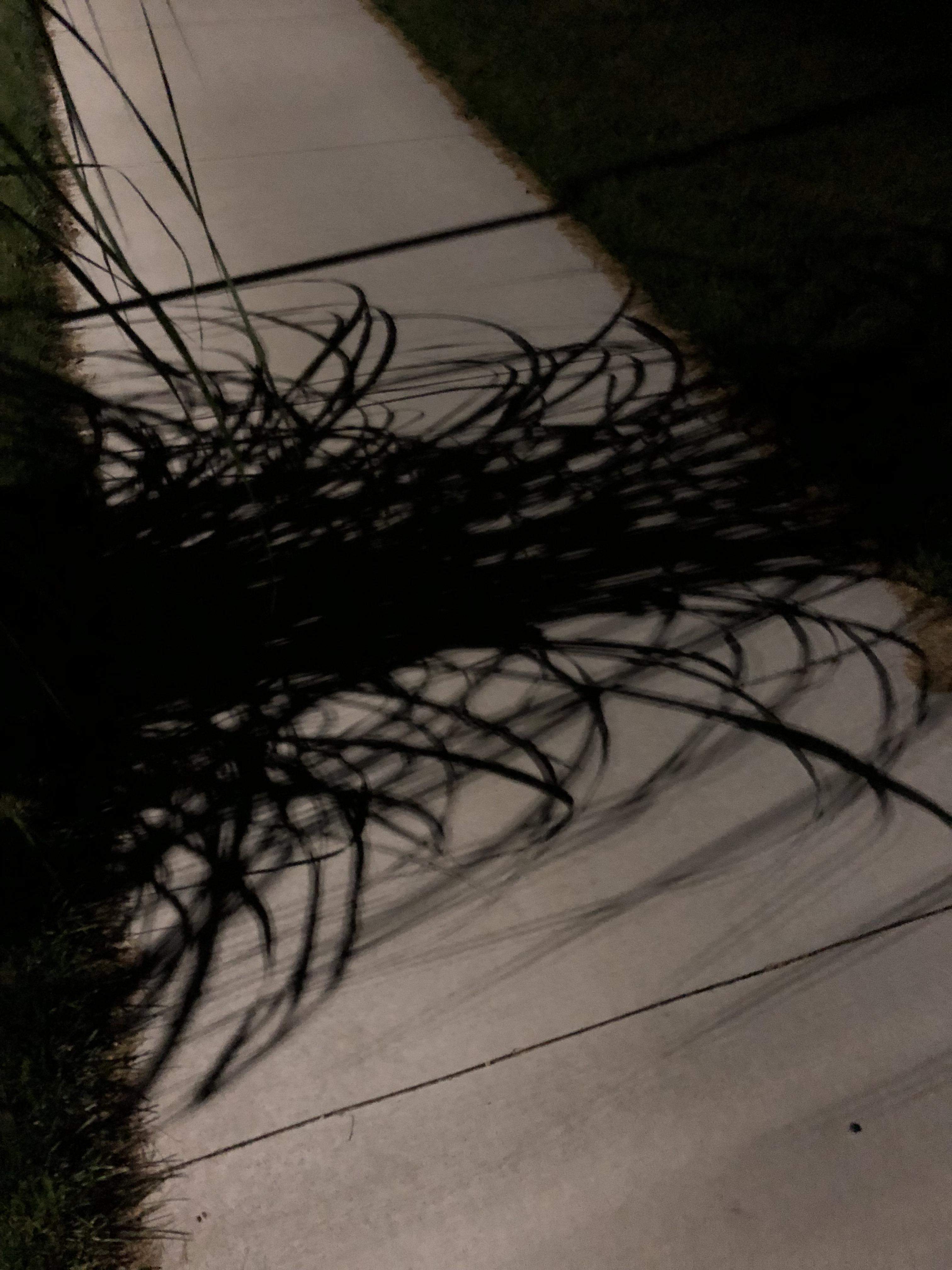 Cool shadows | Scrolller