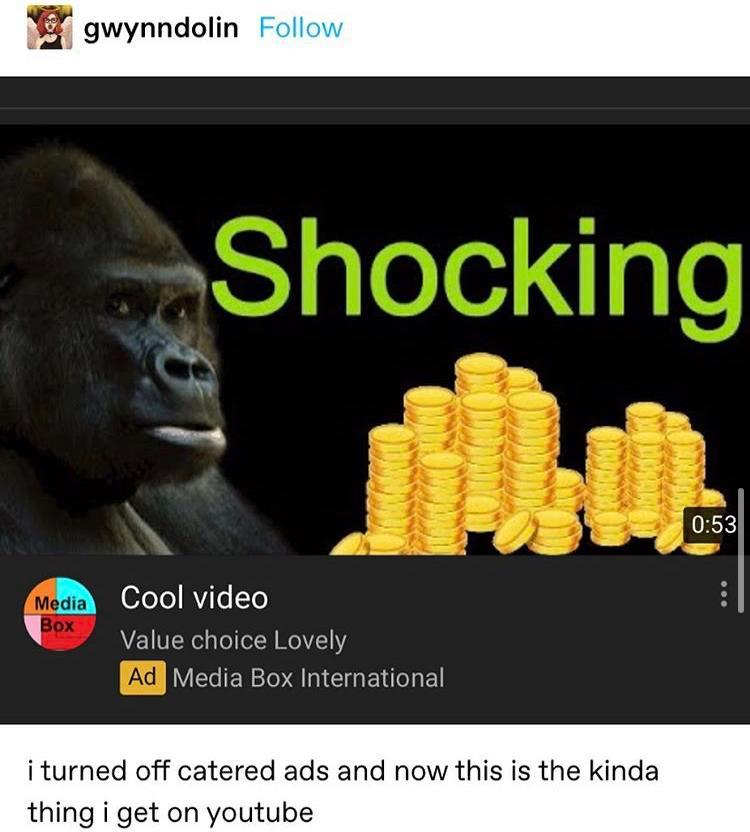 Cool Video | Scrolller