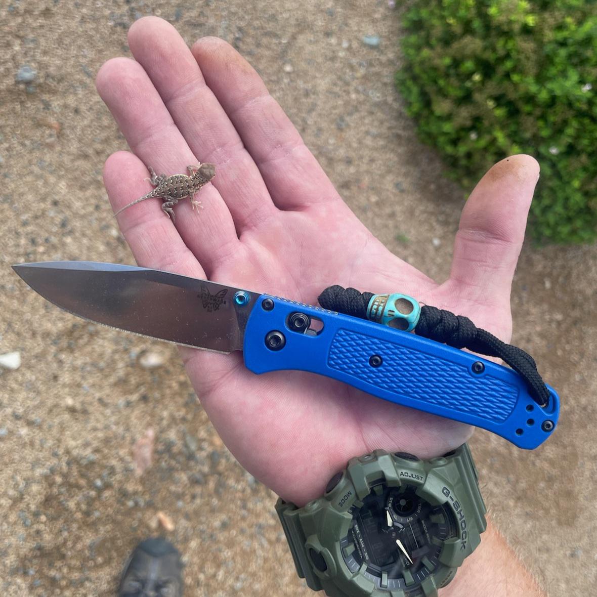 Copycat picture | Scrolller