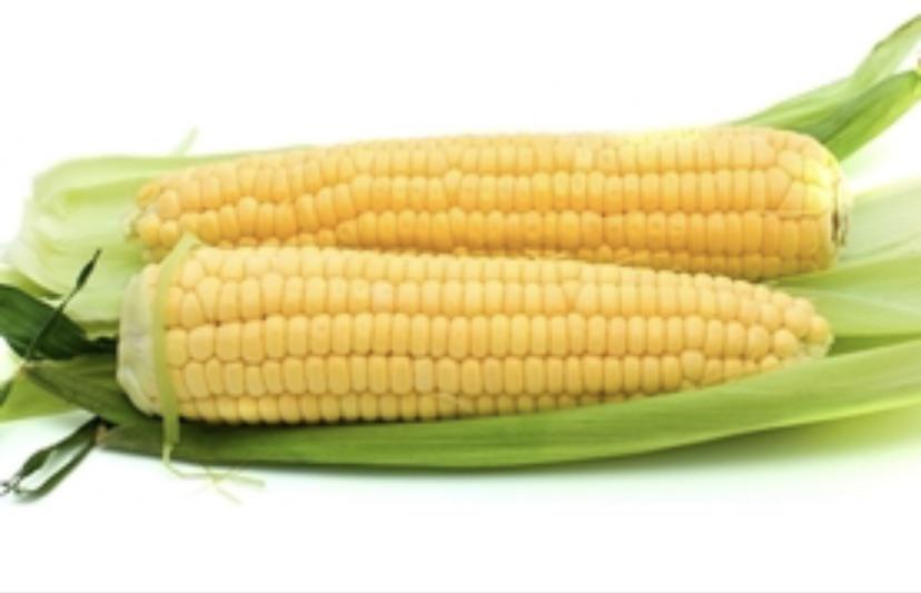 Corn | Scrolller