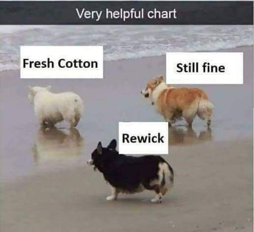 Cotton 101 | Scrolller