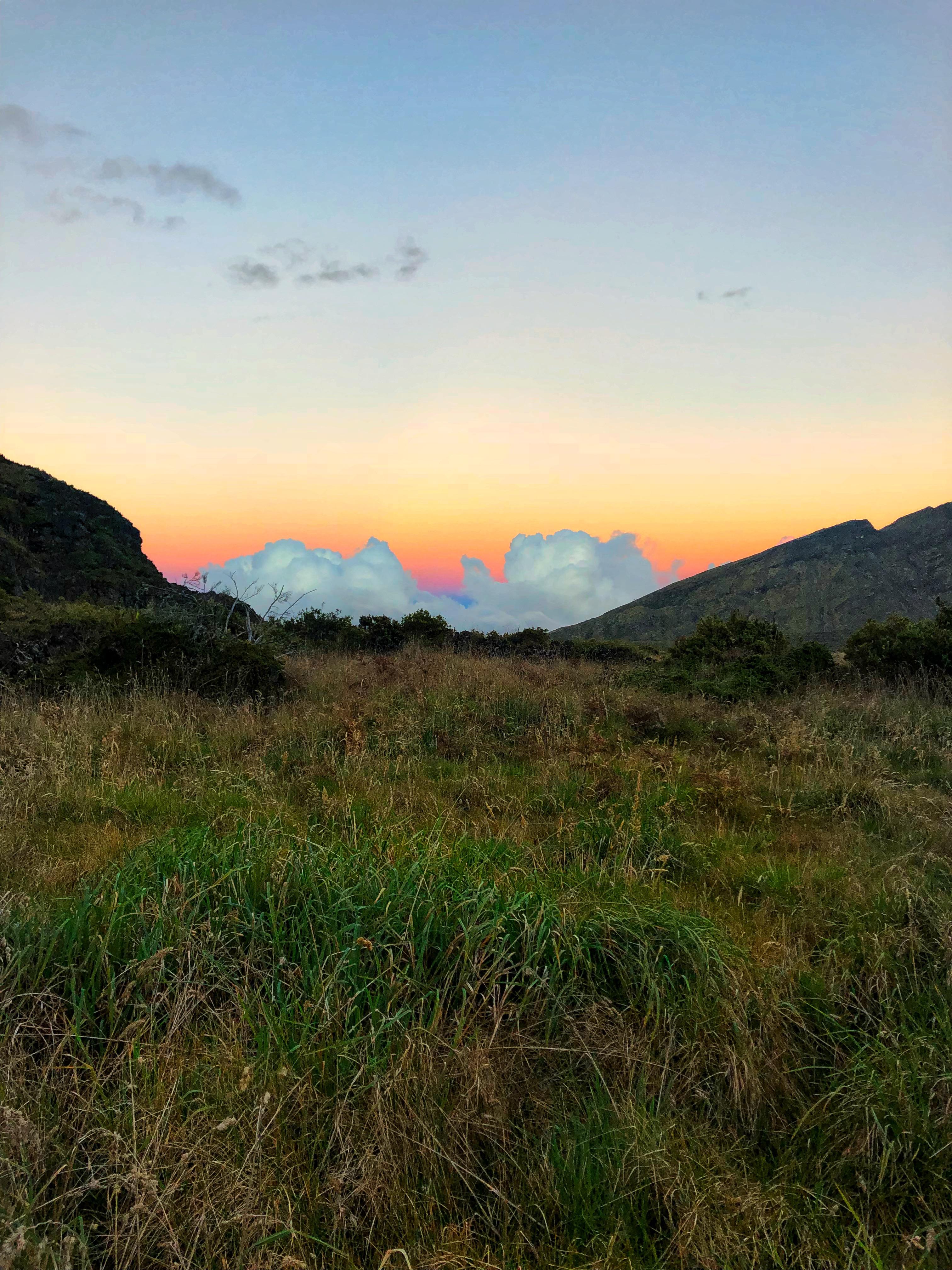 Cotton candy sky | Scrolller