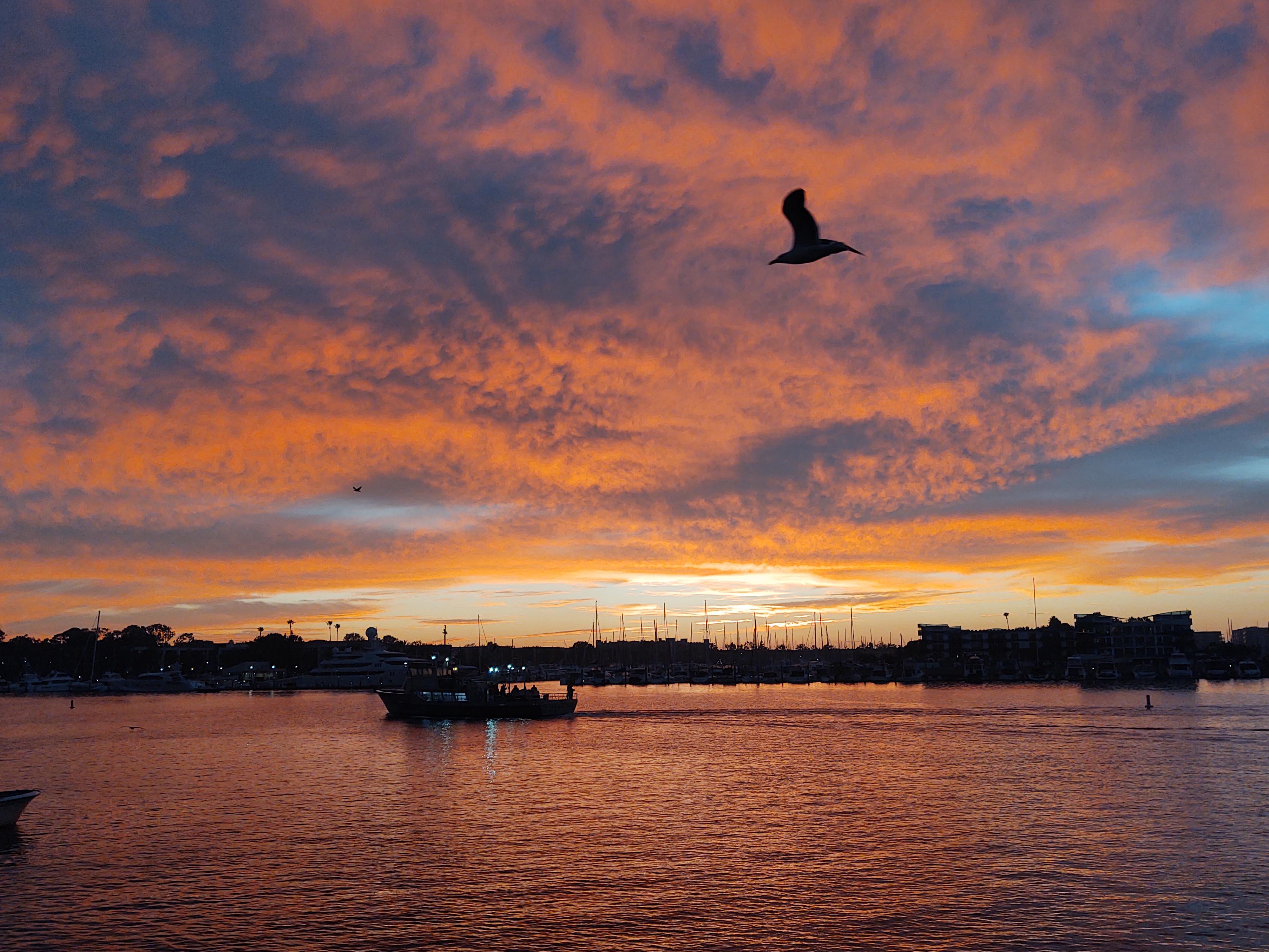 Cotton candy sunset over the marina (Marina del Rey, CA 10/31) | Scrolller