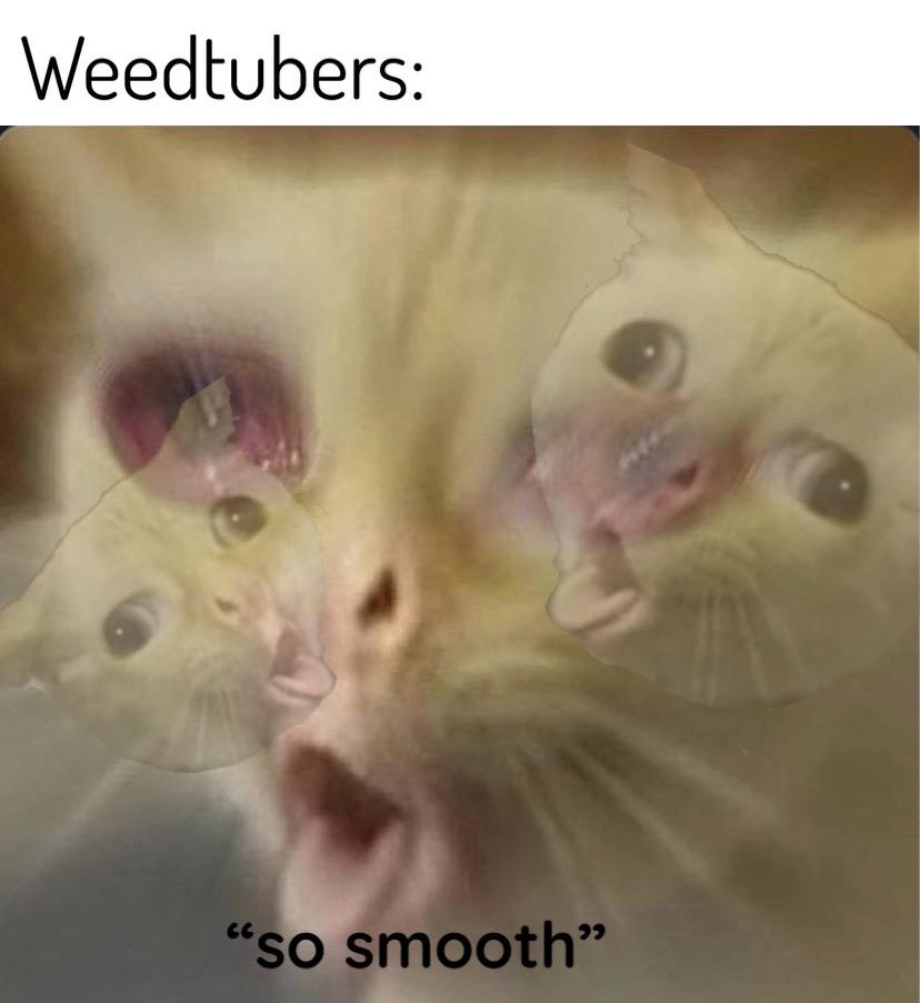 *cough COUGH gag cough* SOOOO smooth you HAVE to buy this | Scrolller