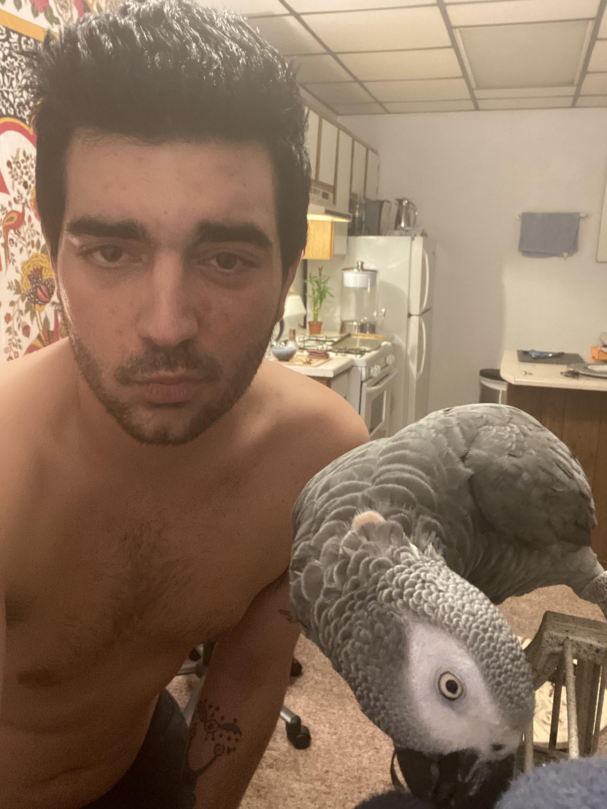 COVID 2021 | Scrolller