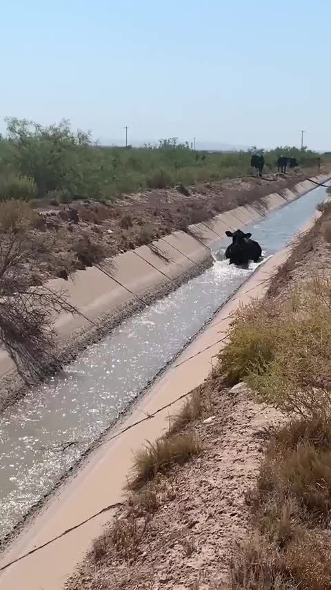 Just a weird fish | Scrolller