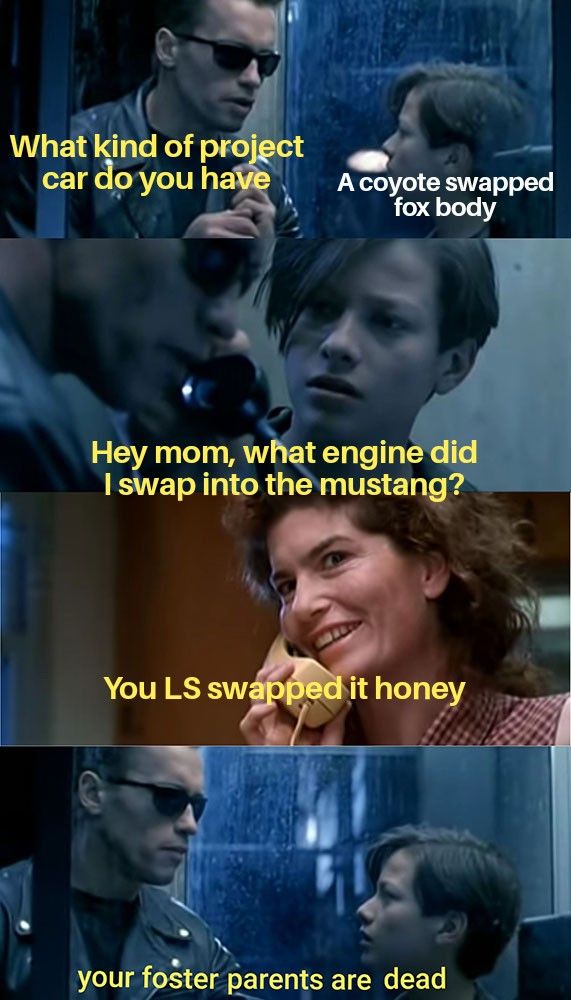 Coyote all day | Scrolller