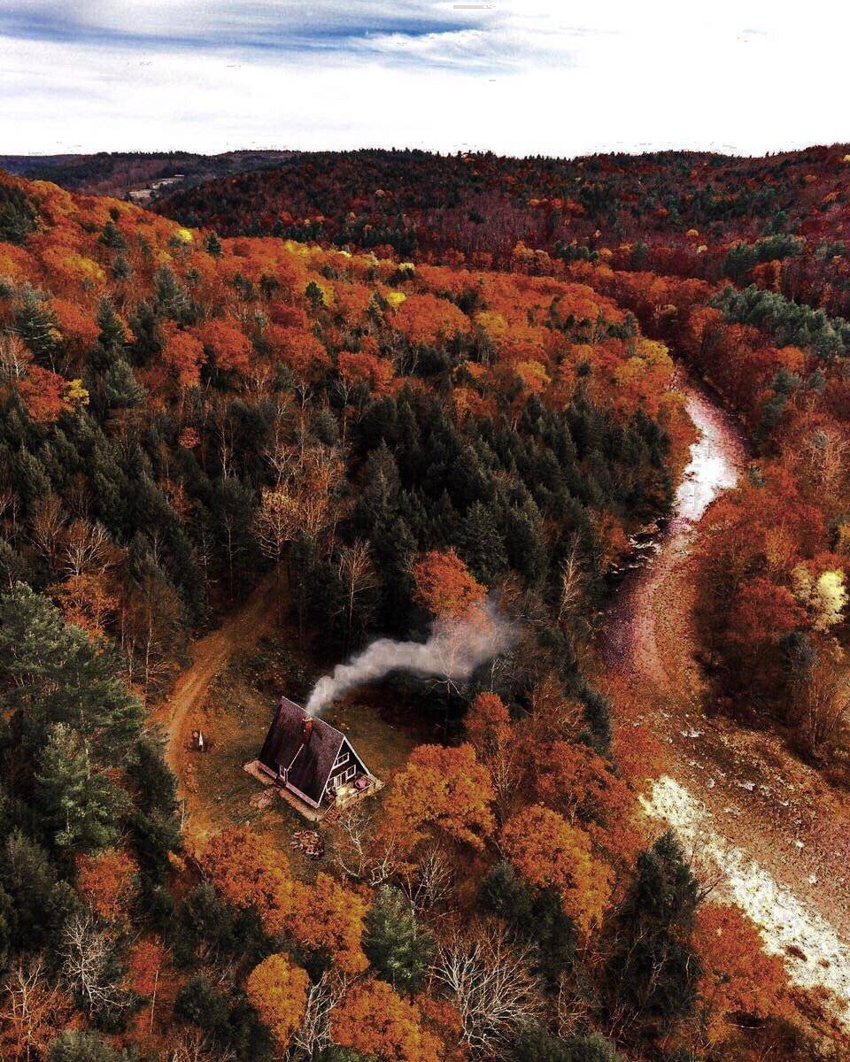 Cozy cabin in the woods | Scrolller