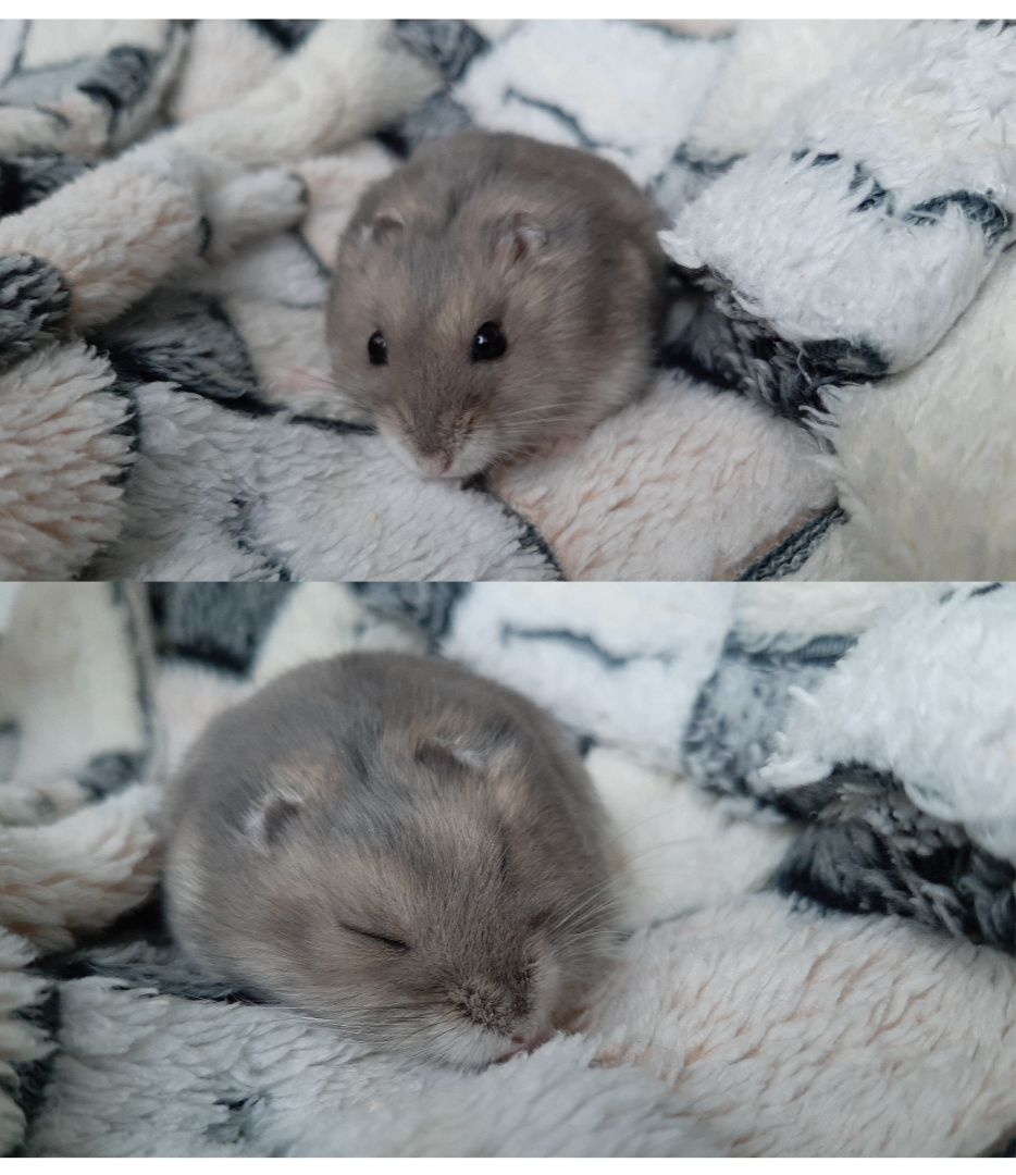 Cozy days 💕 | Scrolller