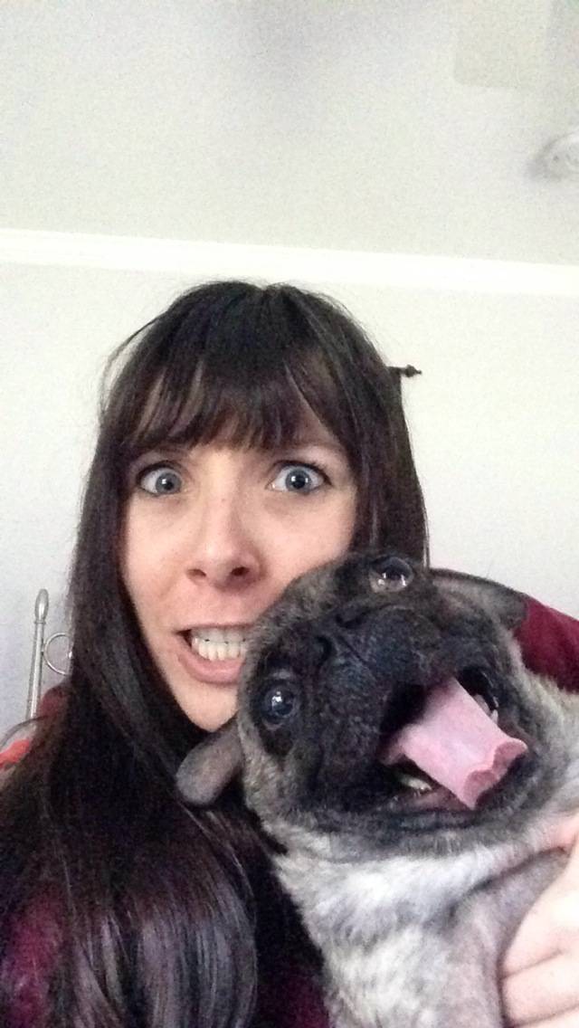 Crazy pug | Scrolller