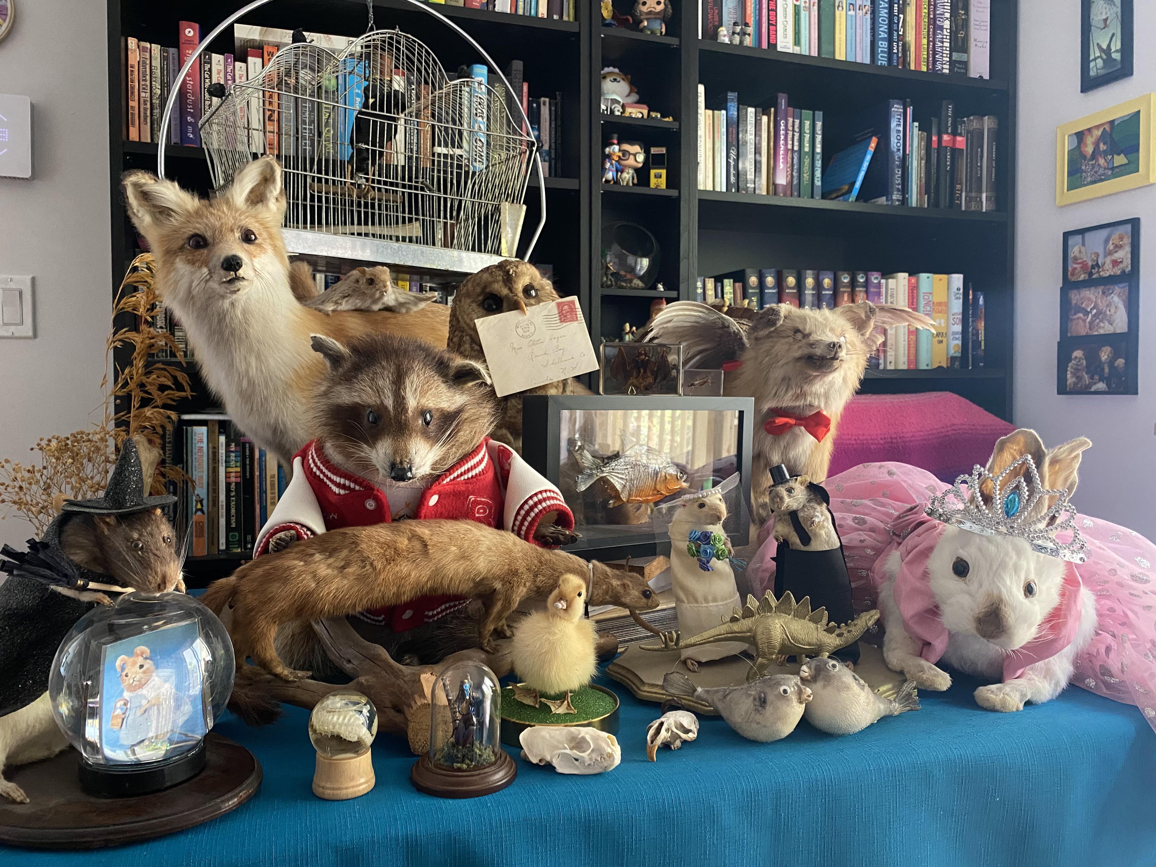 Creature feature! Most of my collection so far... | Scrolller