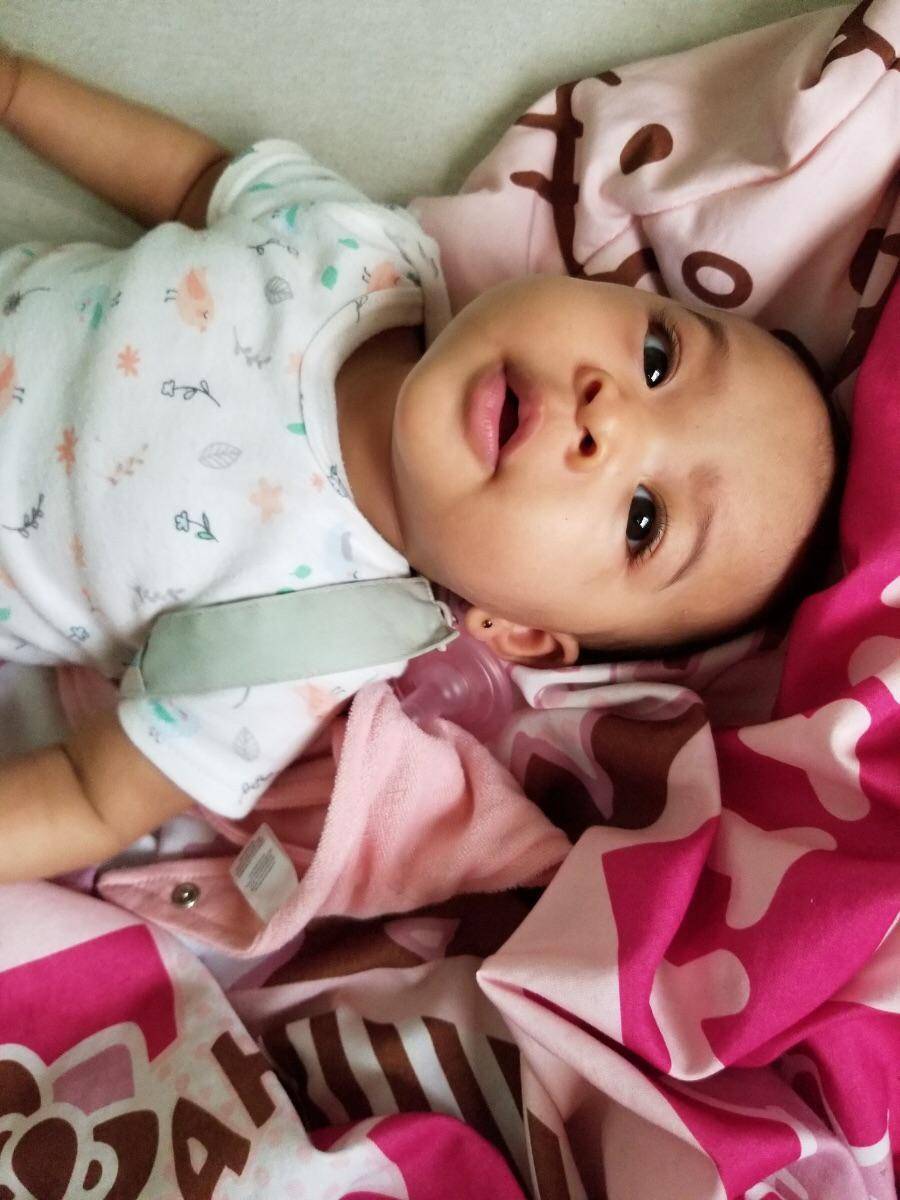 Creole and Vietnamese | Scrolller