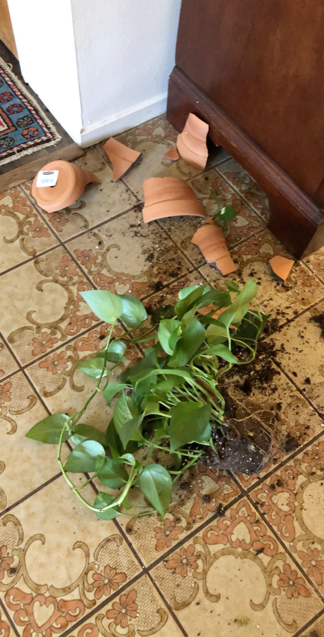 Crime scene... | Scrolller