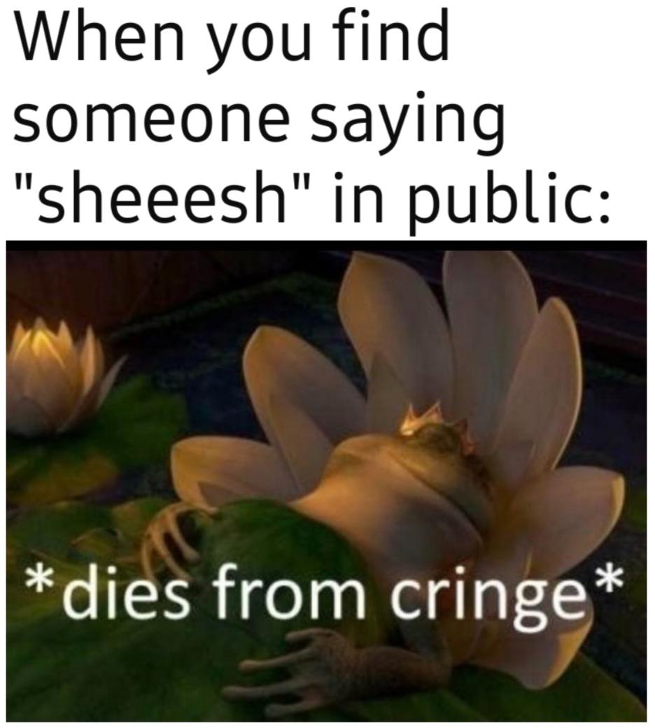 Crispy Meme #410 | Scrolller