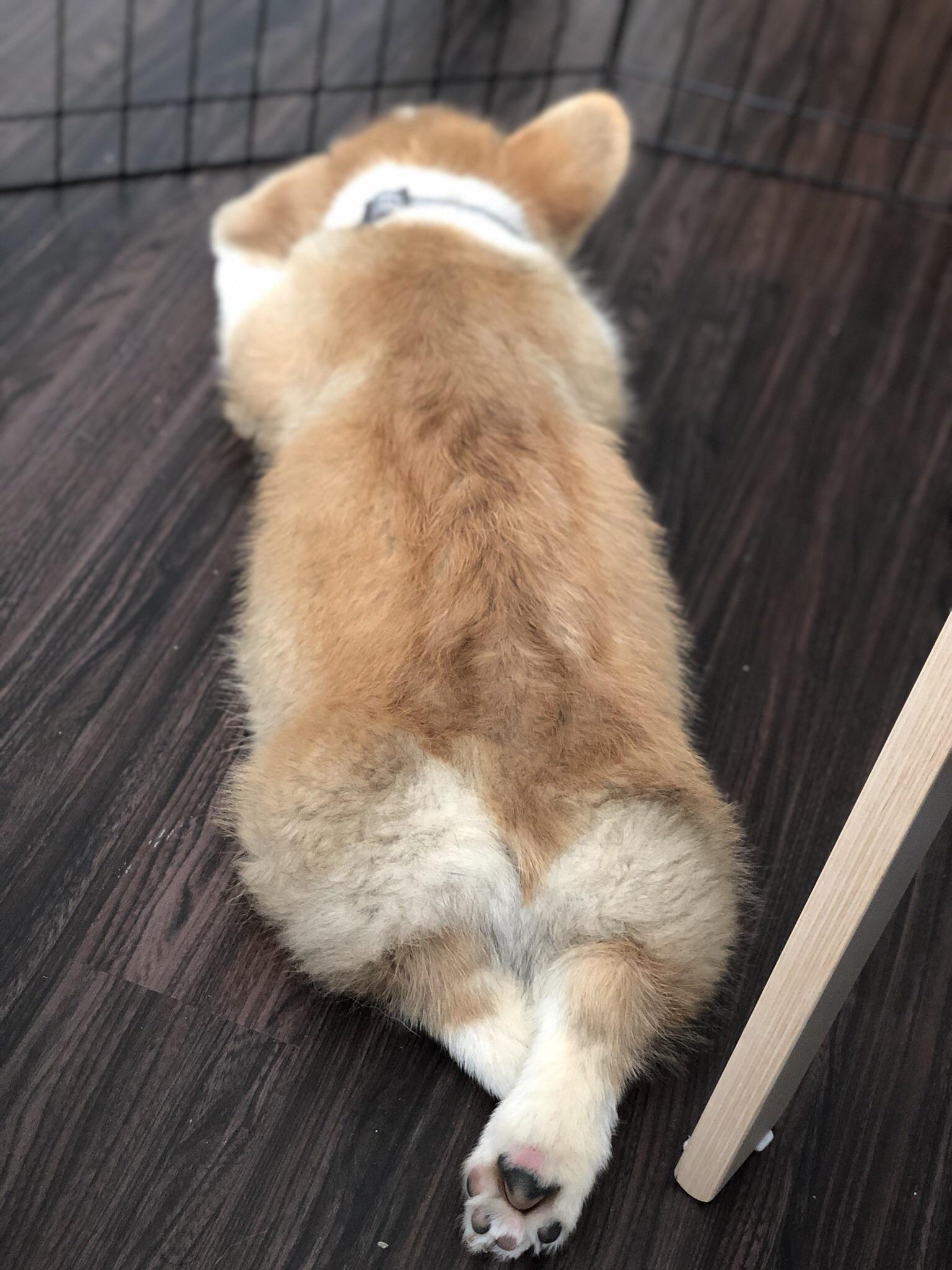 cross cross apple sauce sploot | Scrolller