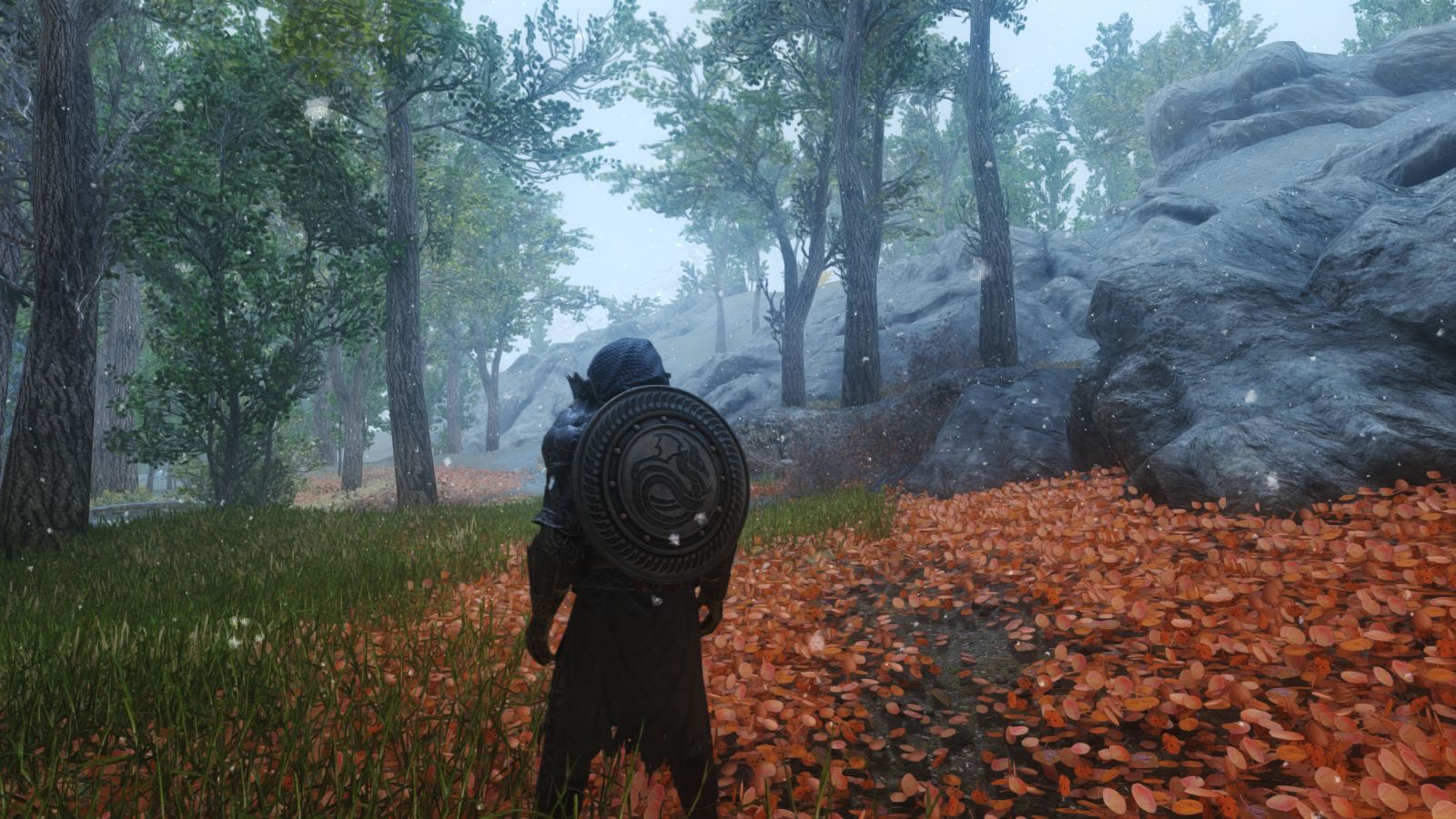 Crossing the forest | Scrolller