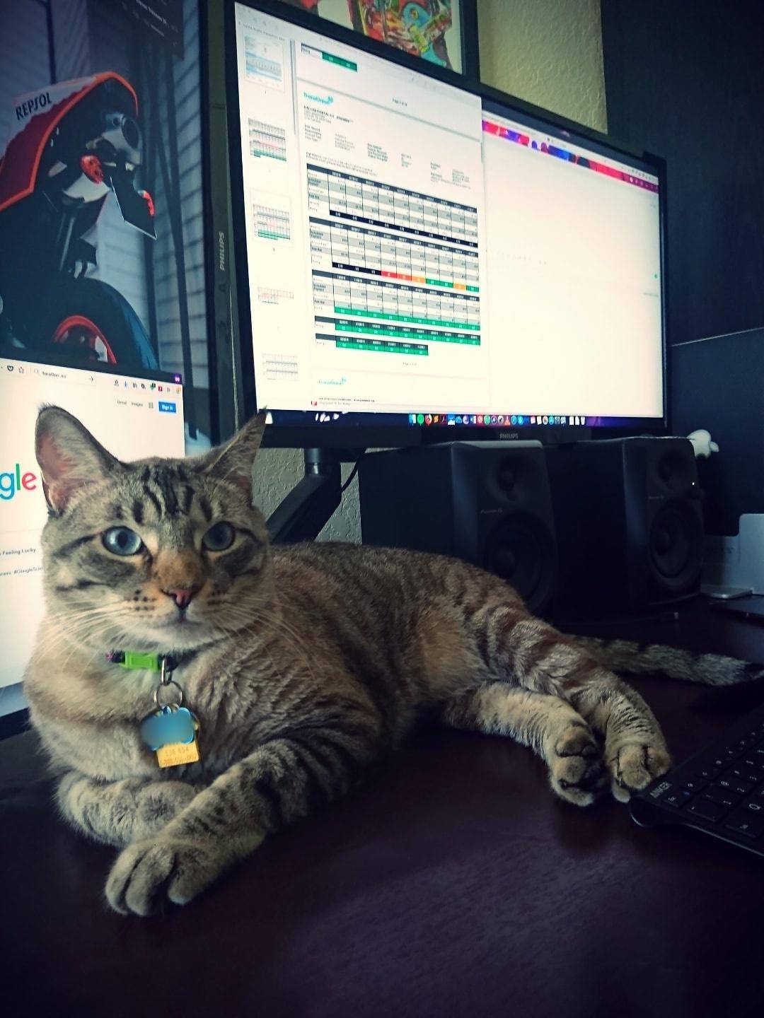 Crunching Numbers | Scrolller