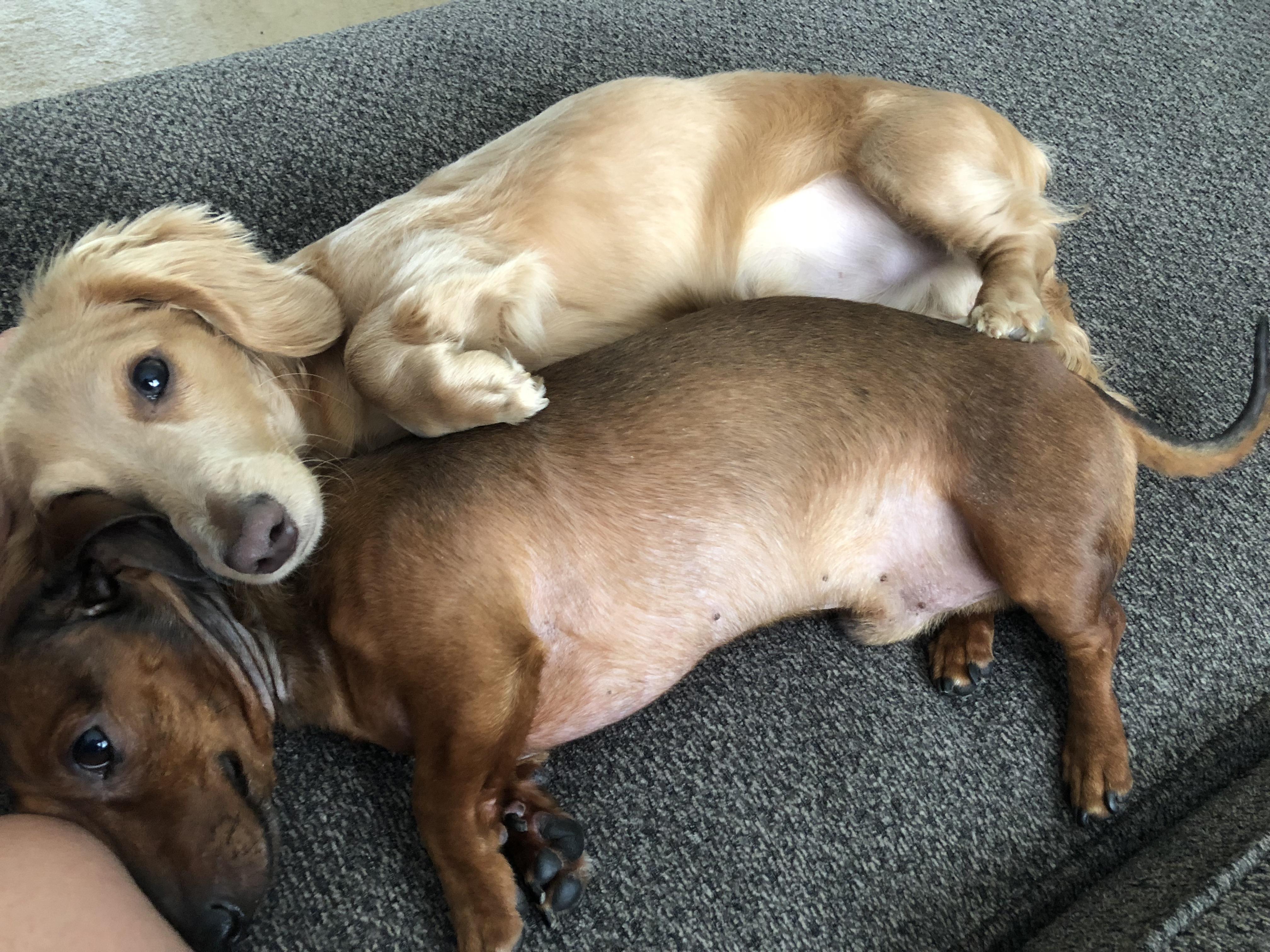 Cuddle bugs | Scrolller