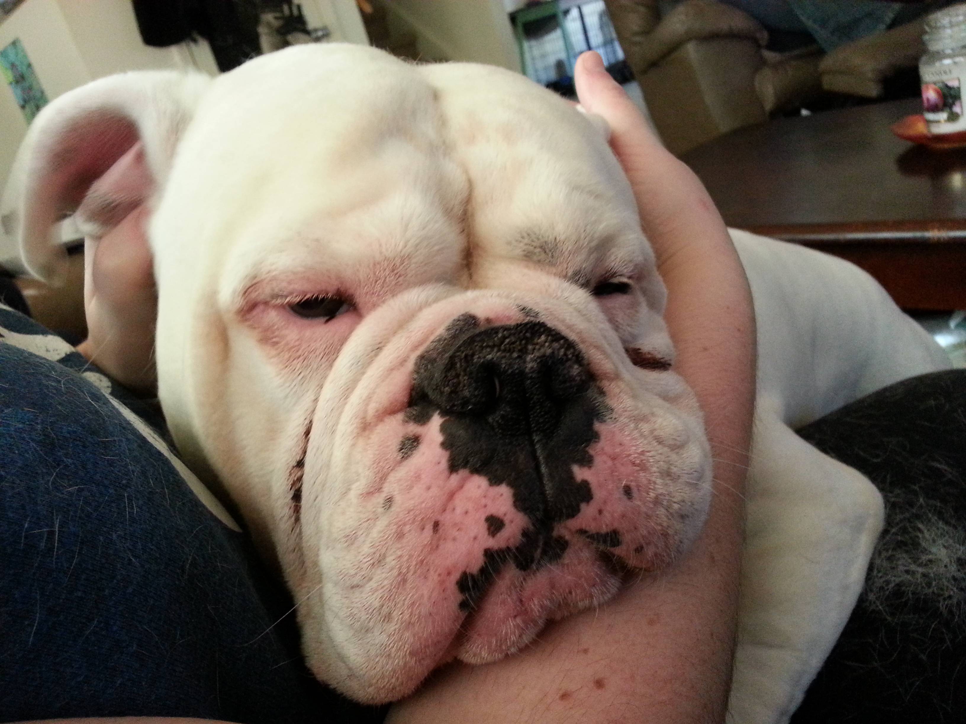 Cuddle time! | Scrolller