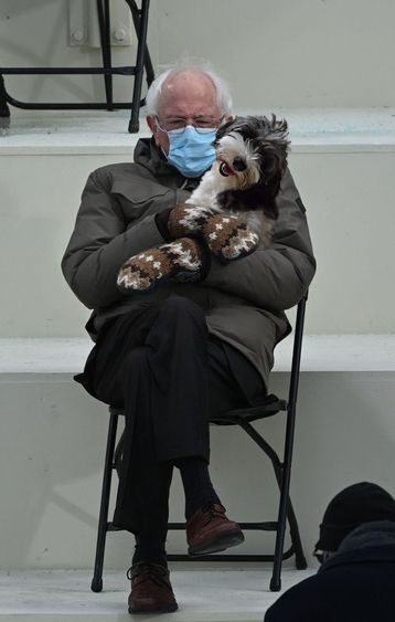 Cuddling Bernie | Scrolller