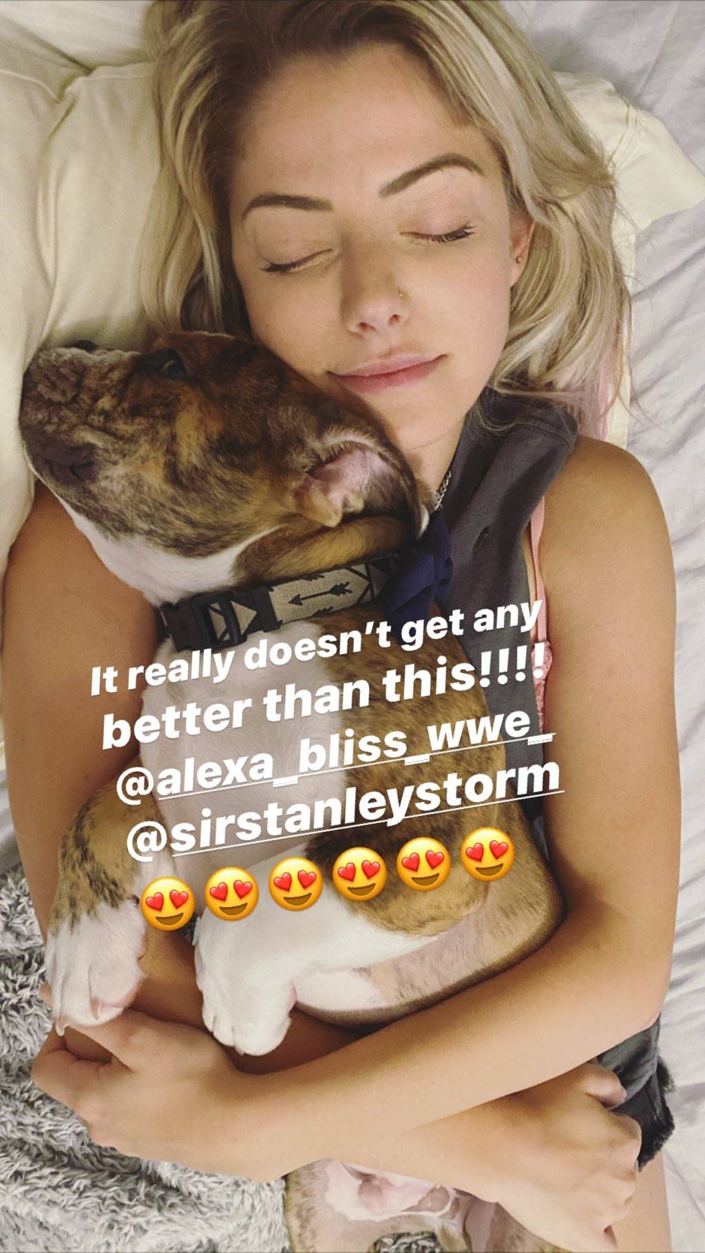 Cuddling With Sir Stanley Storm | Scrolller