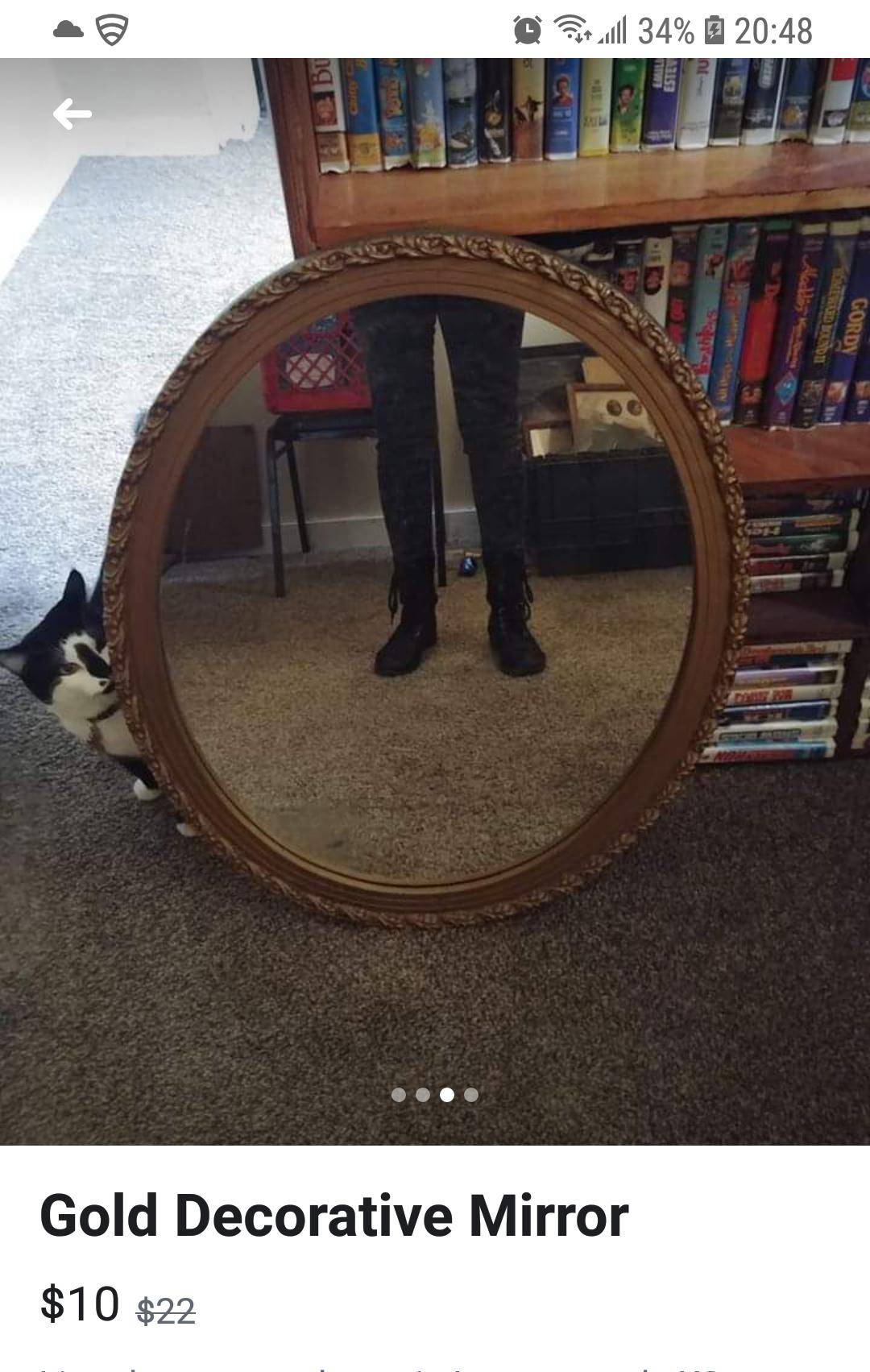 Curious cat | Scrolller