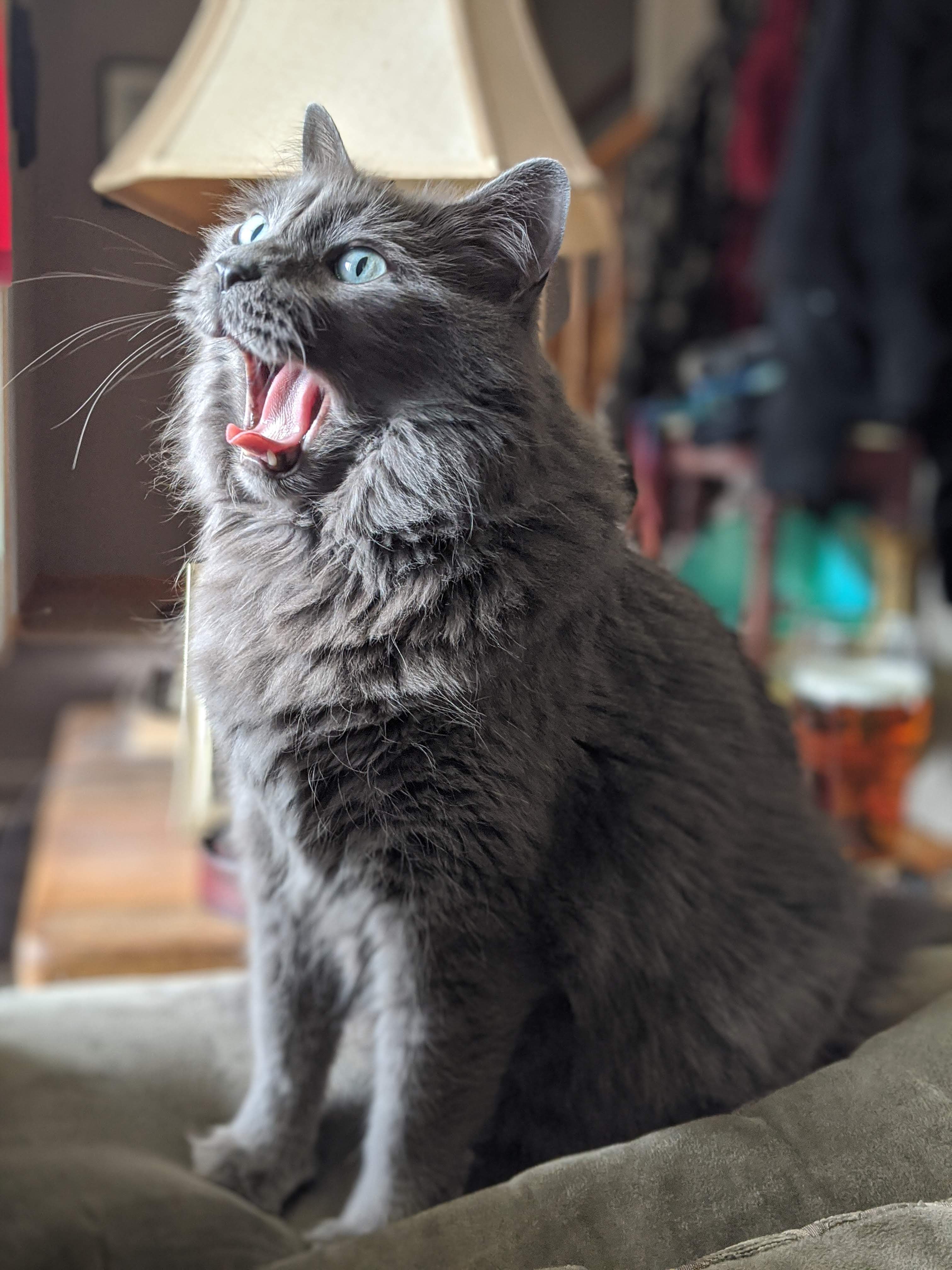 Current mood | Scrolller