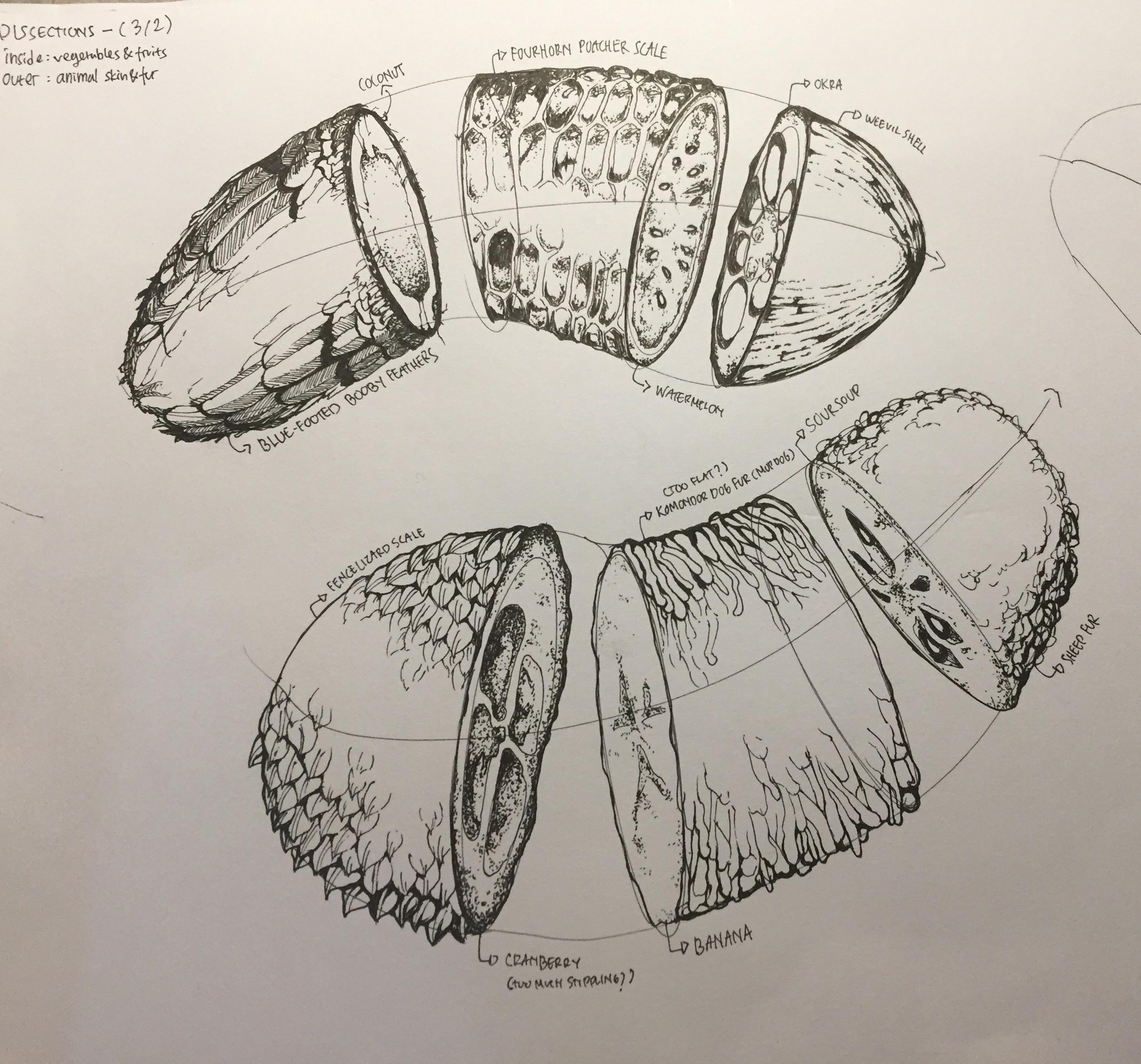 Current progress on lesson 2-dissections. Feedback is much appreciated! | Scrolller