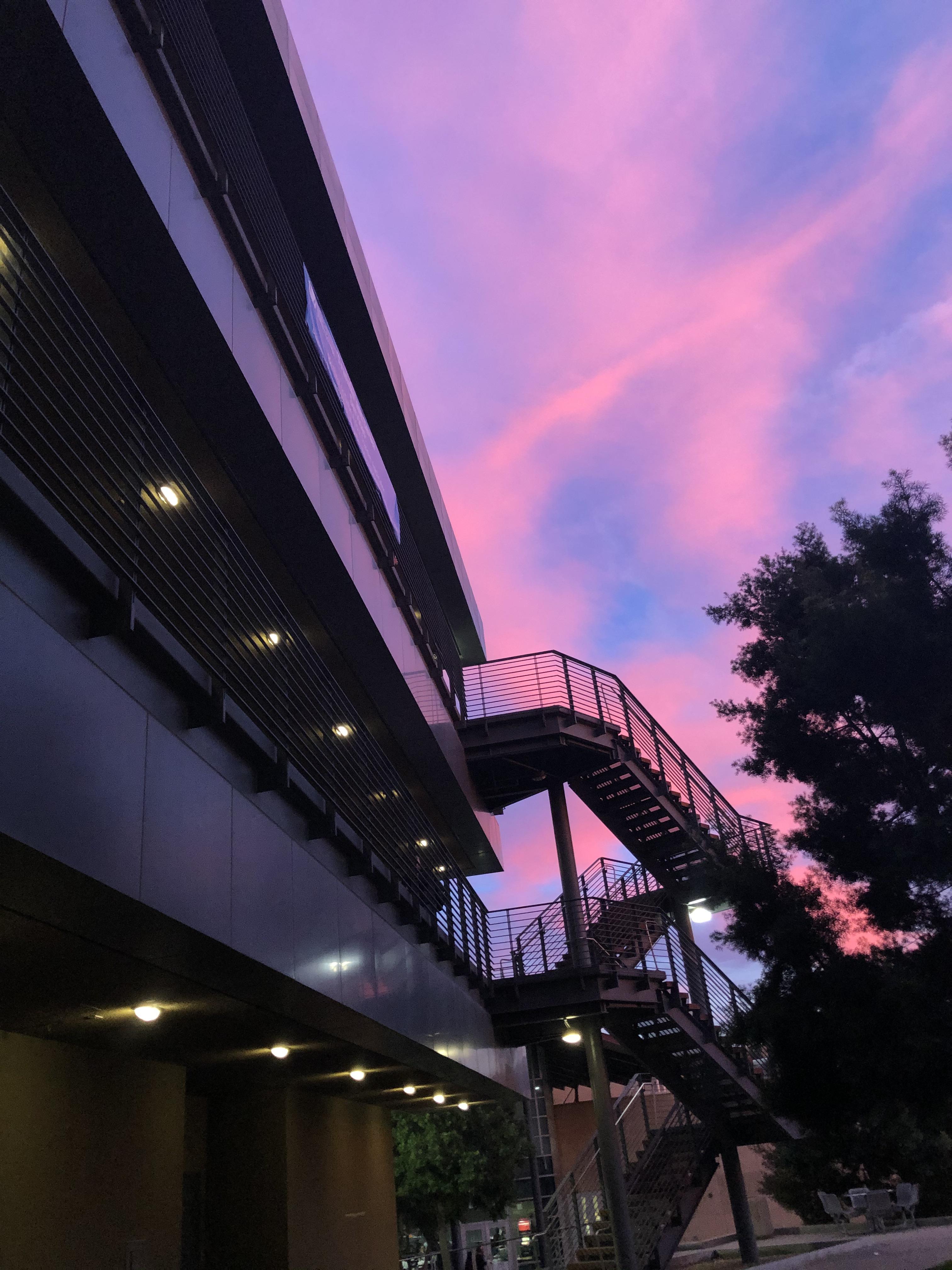 Currently in SB | Scrolller