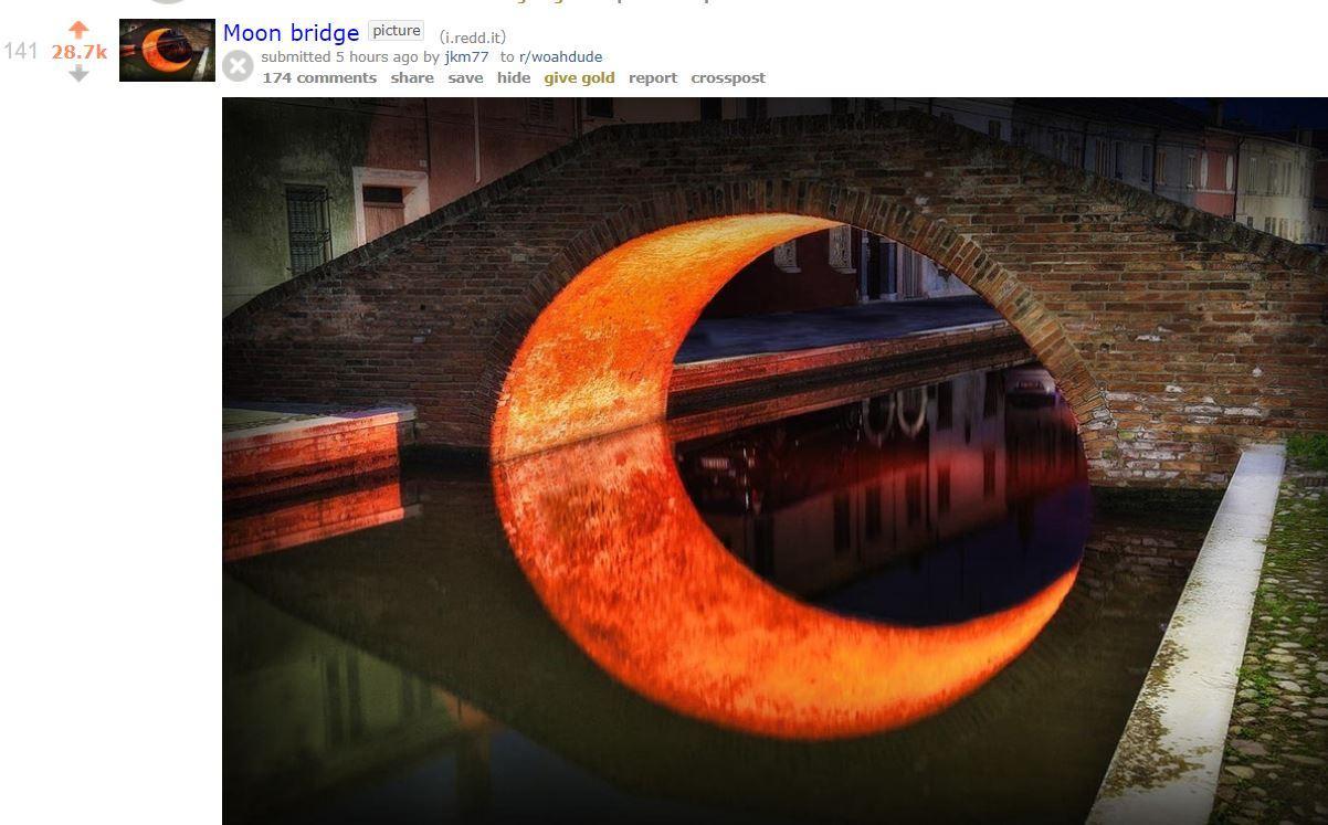 Curse of the Moon | Scrolller