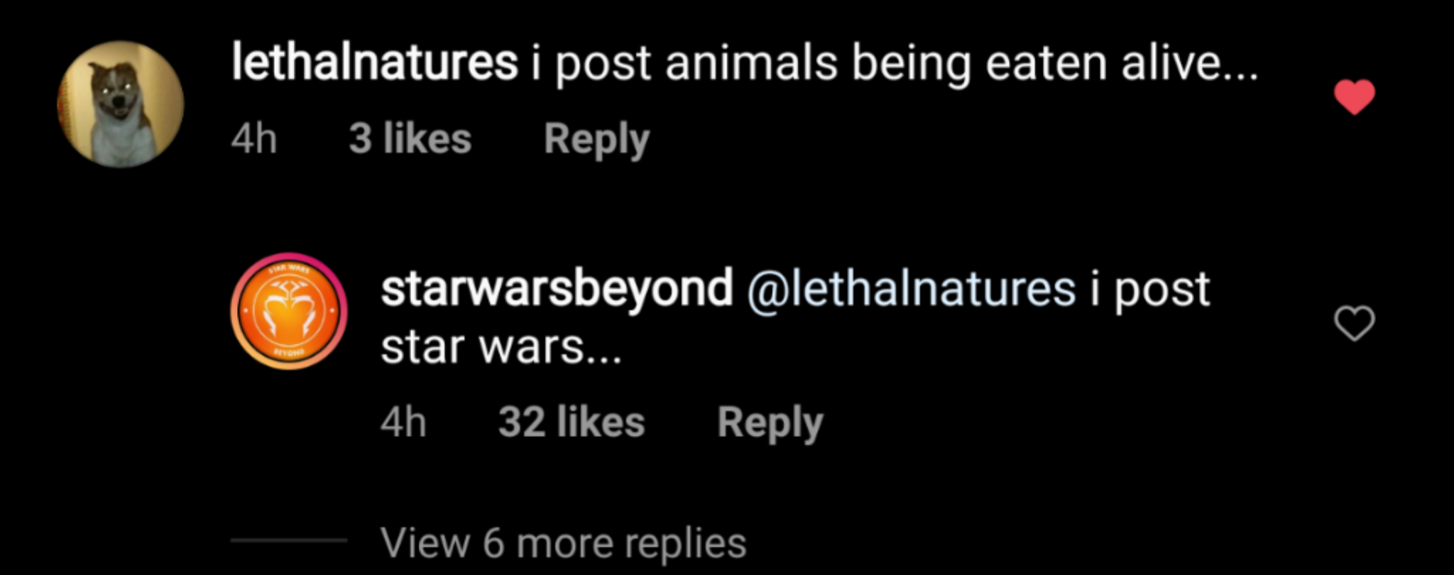 Cursed_Animals | Scrolller