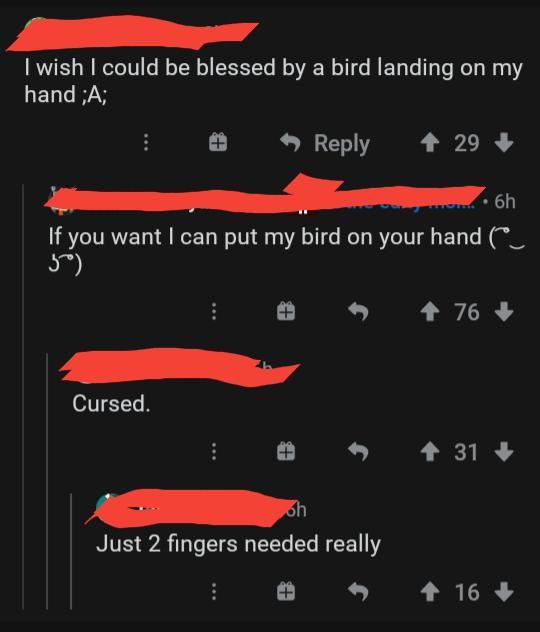 Cursed_Bird | Scrolller