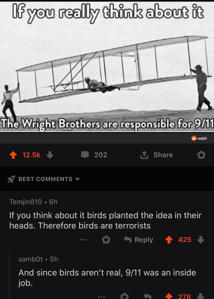 cursed birds | Scrolller