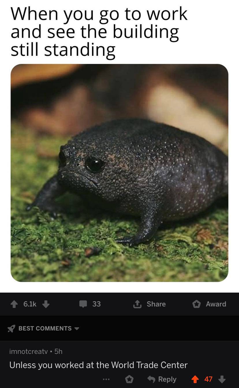 Cursed_building | Scrolller