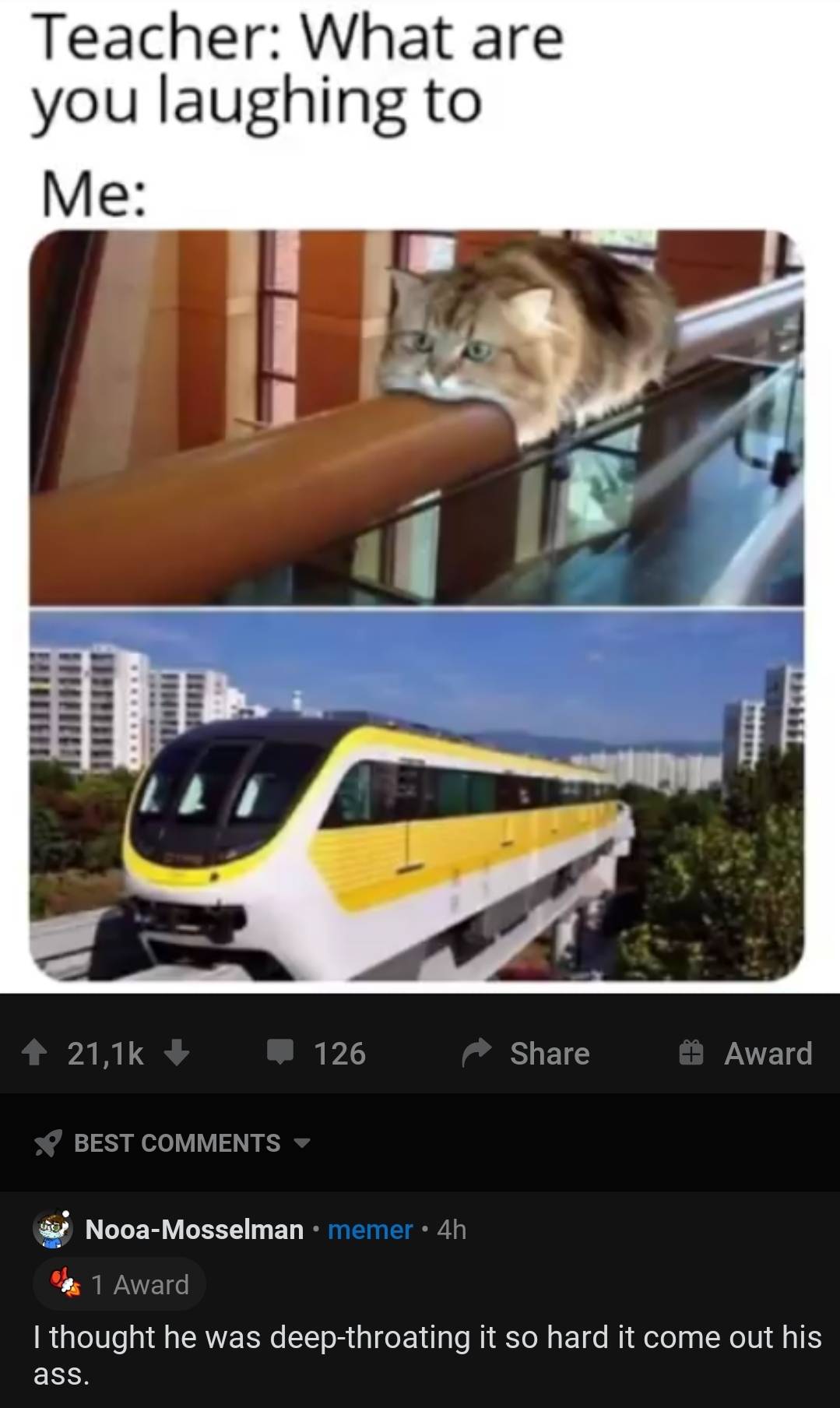 Cursed_cat | Scrolller