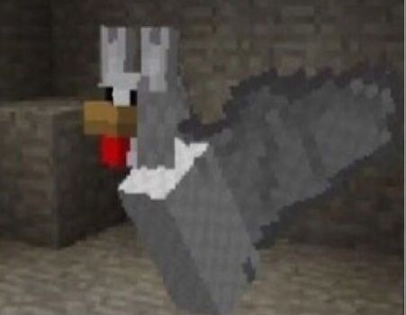 Cursed chicken-bat | Scrolller