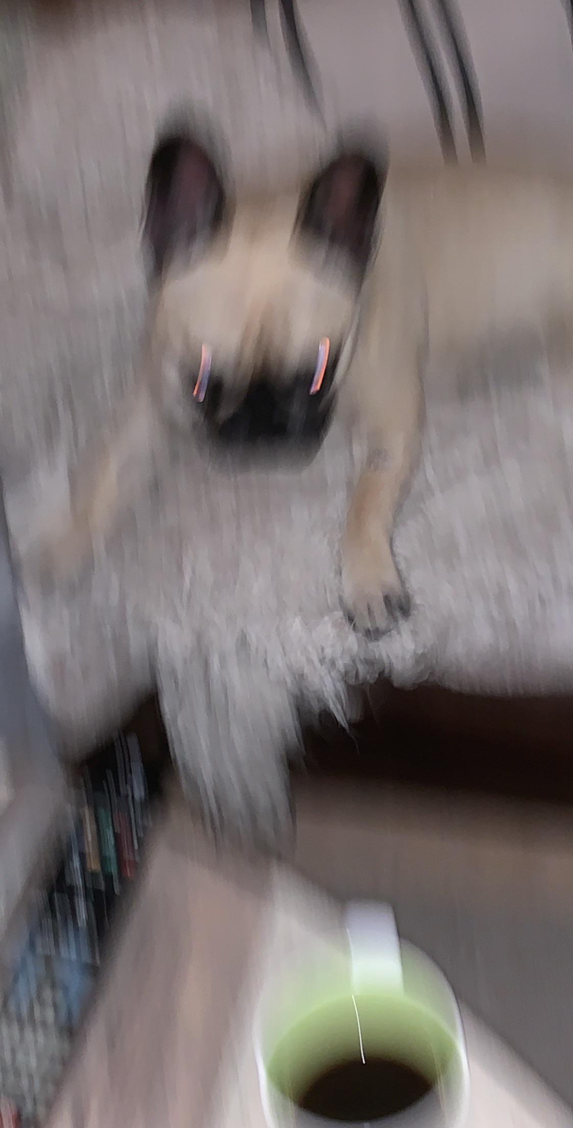 Cursed coffee | Scrolller