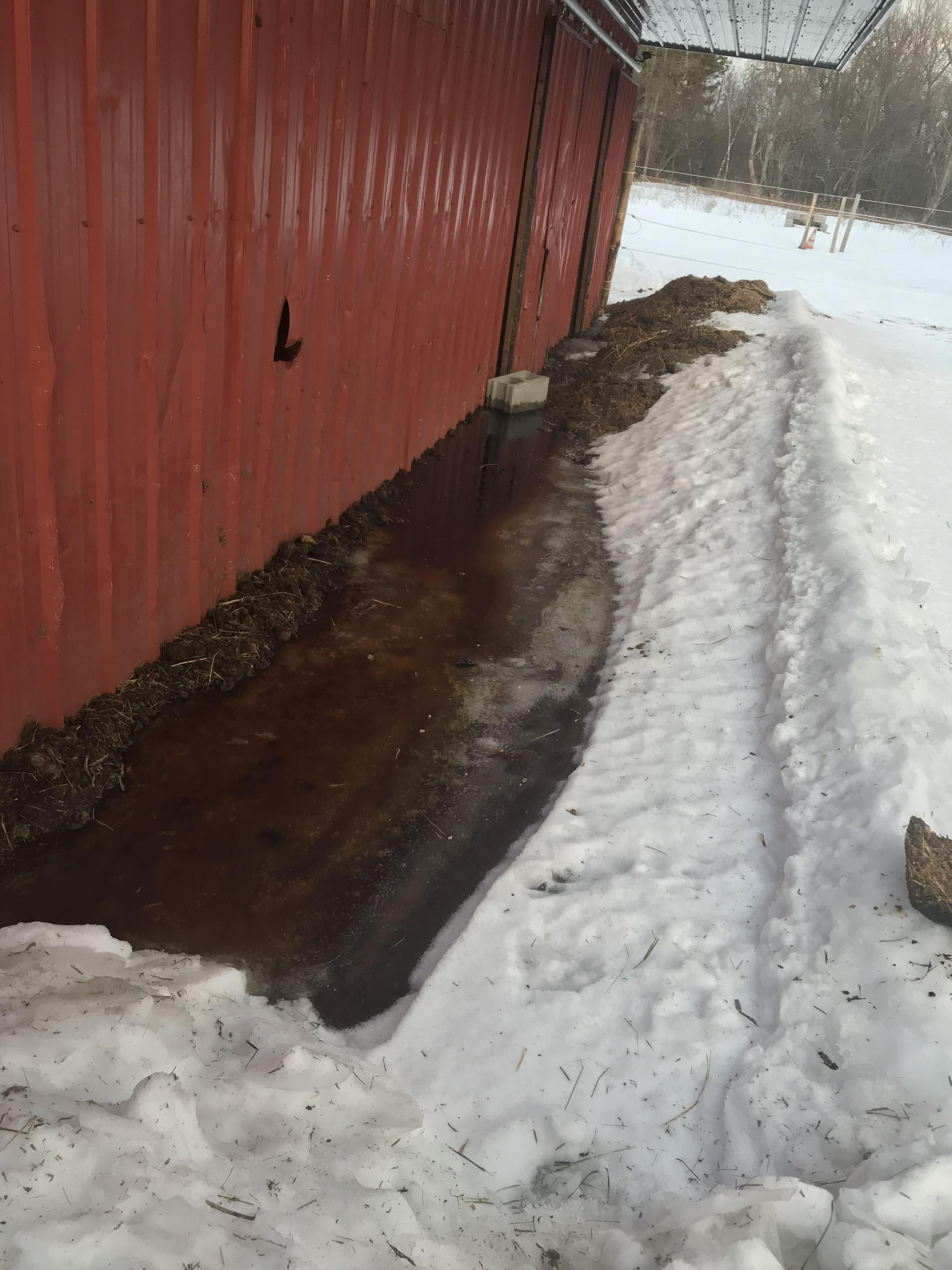 Cursed cola. | Scrolller