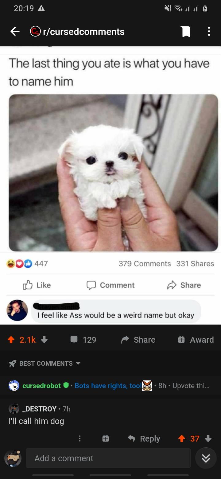 Cursed comment in a cursed comment! | Scrolller