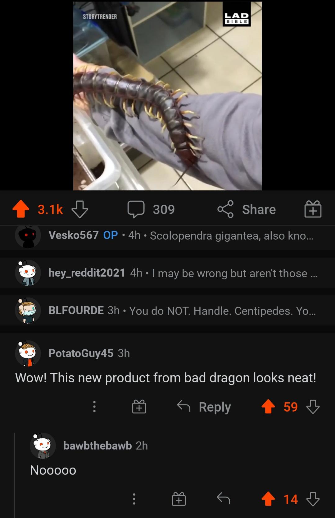 Cursed_dildo | Scrolller