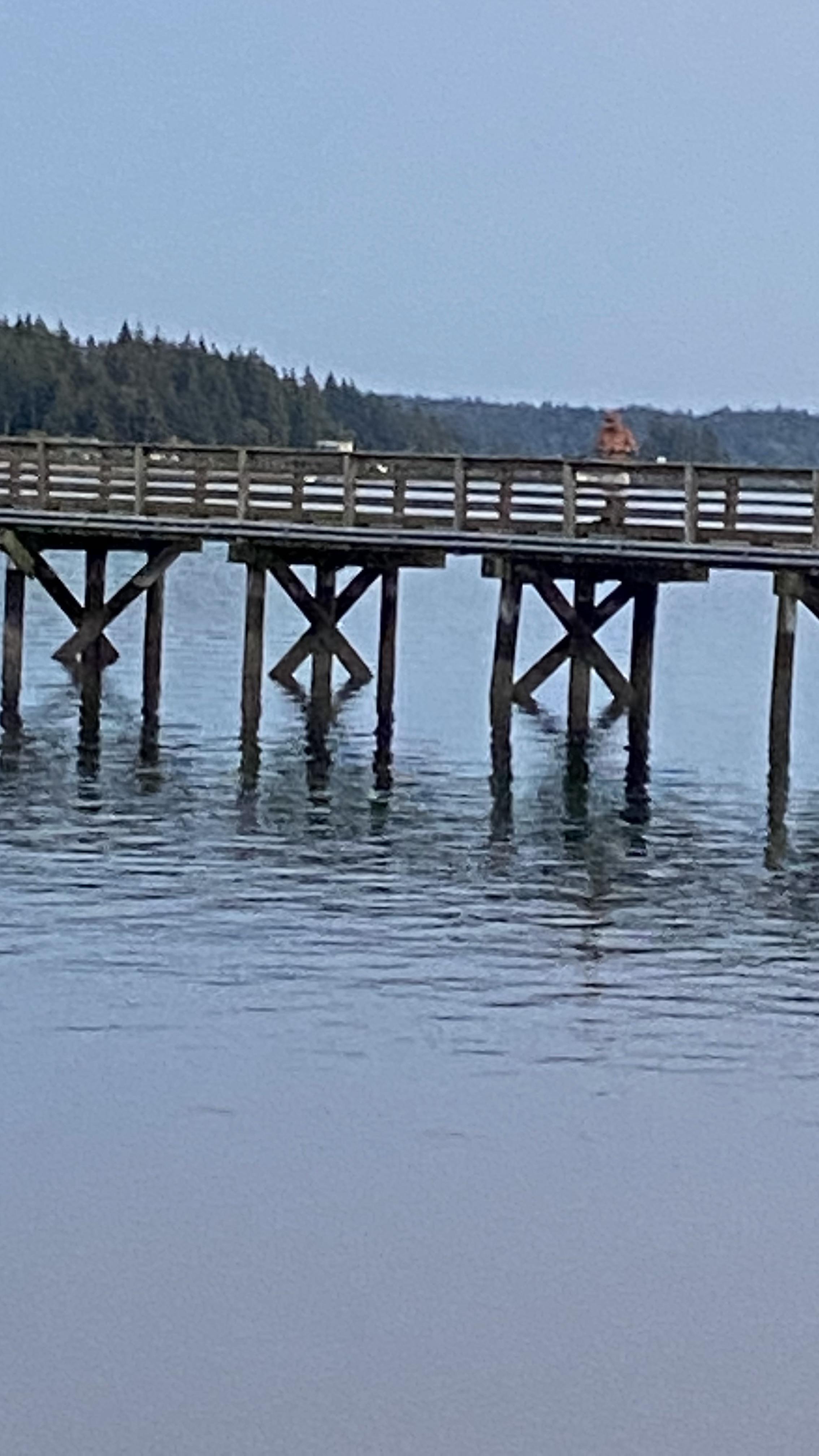 Cursed dock by my house lmaoo | Scrolller