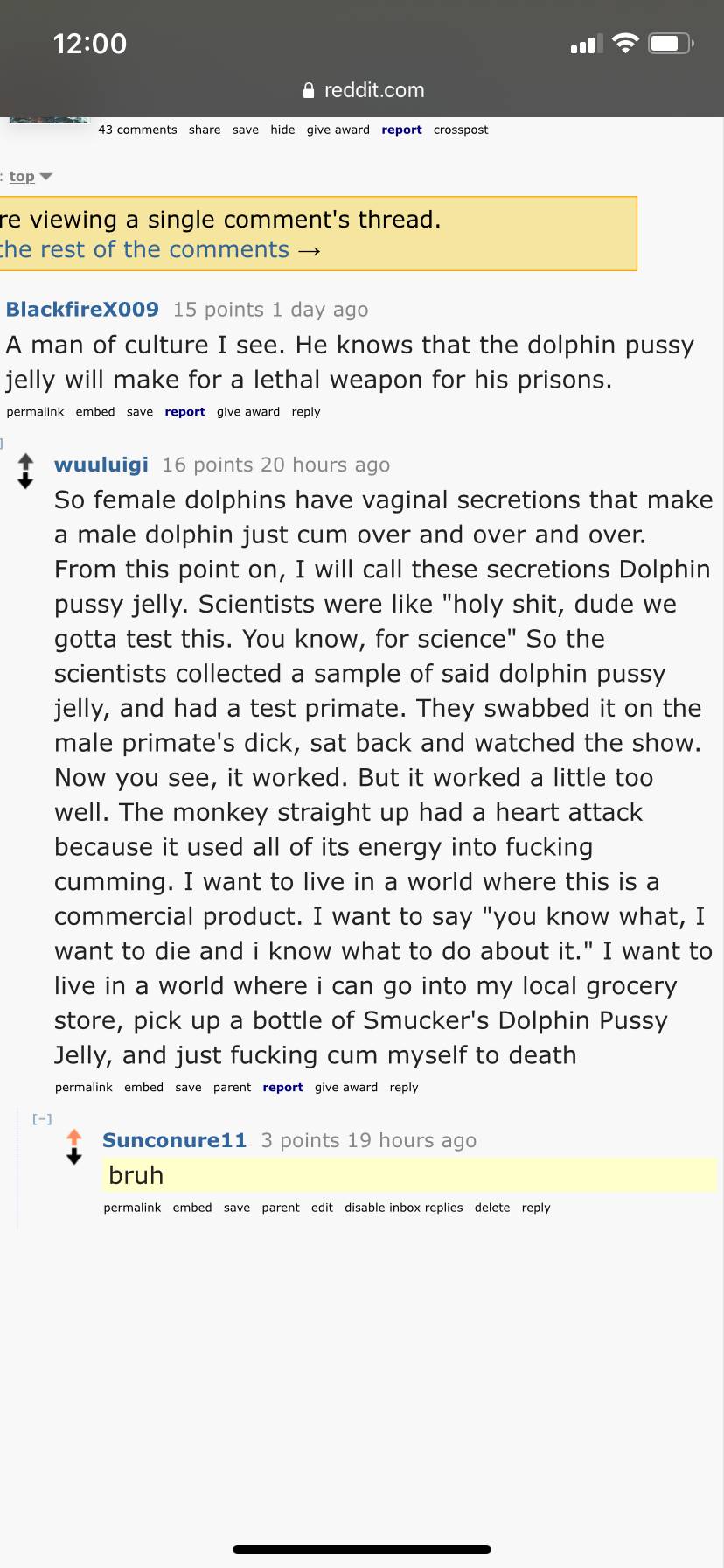 cursed_dolphin_facts | Scrolller