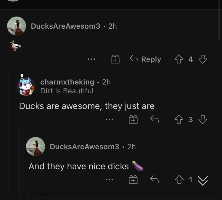 Cursed duck | Scrolller