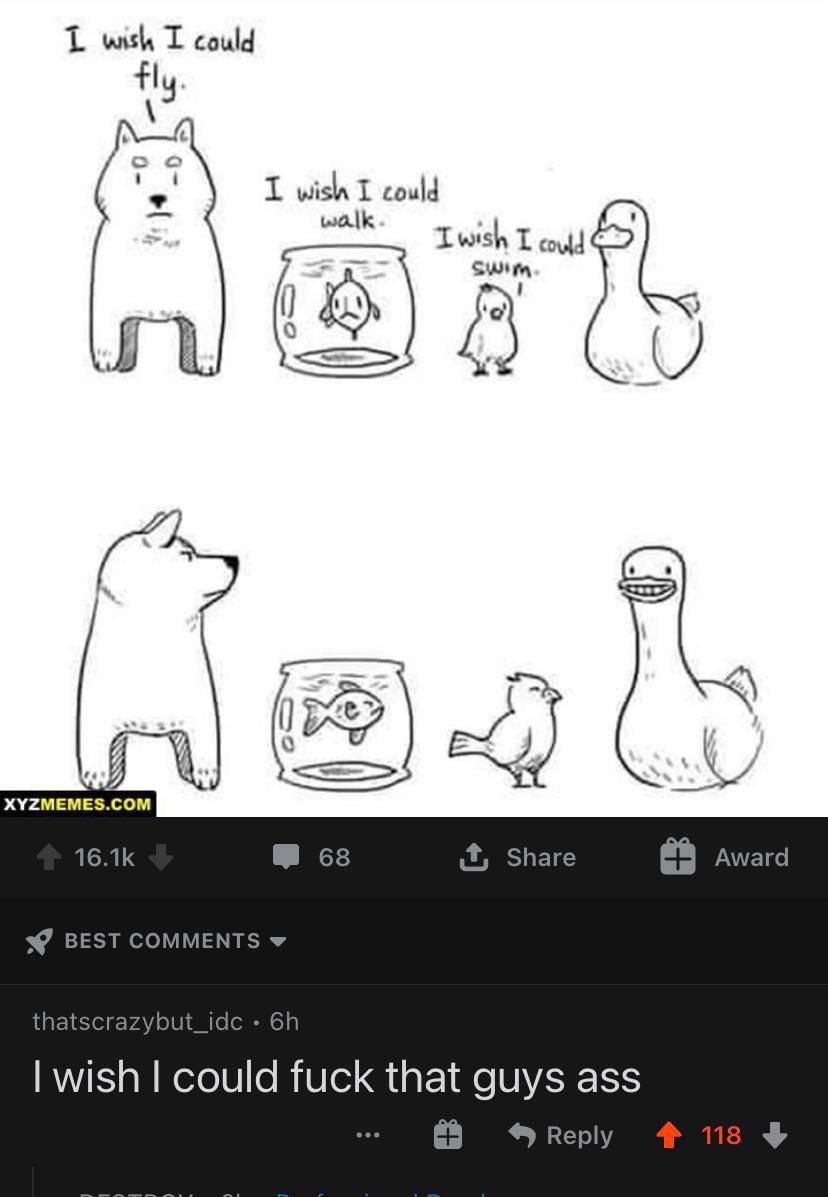 Cursed Duck | Scrolller