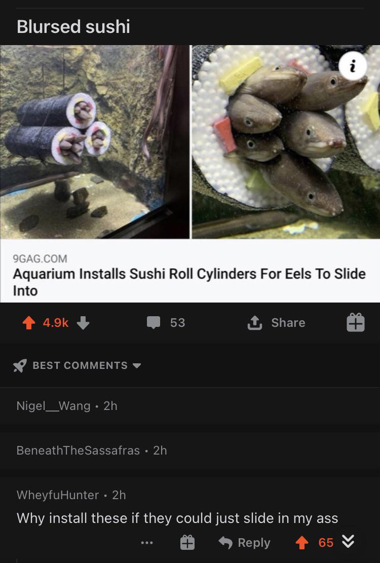 cursed_eels | Scrolller