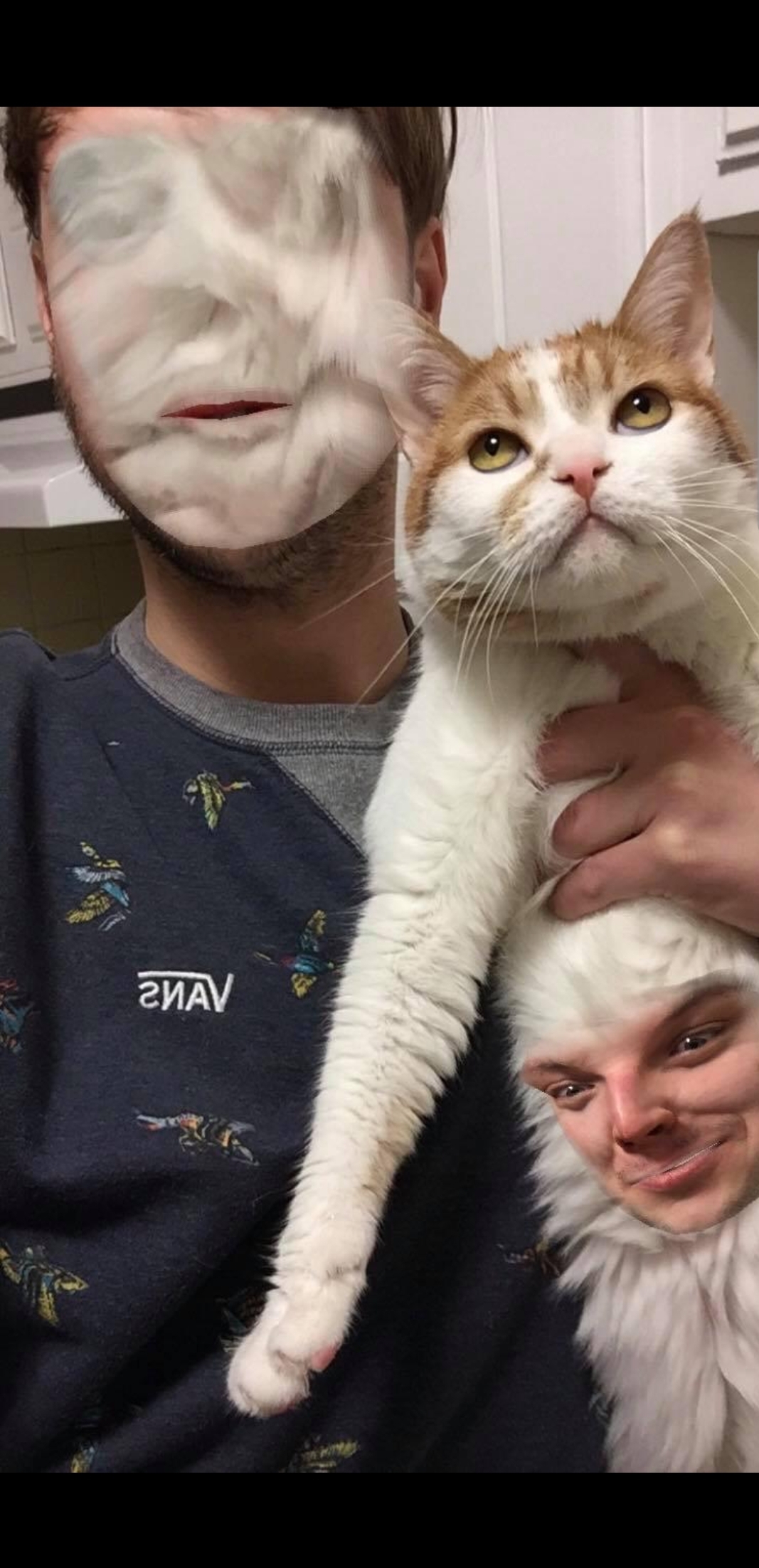 Cursed_FaceSwap | Scrolller