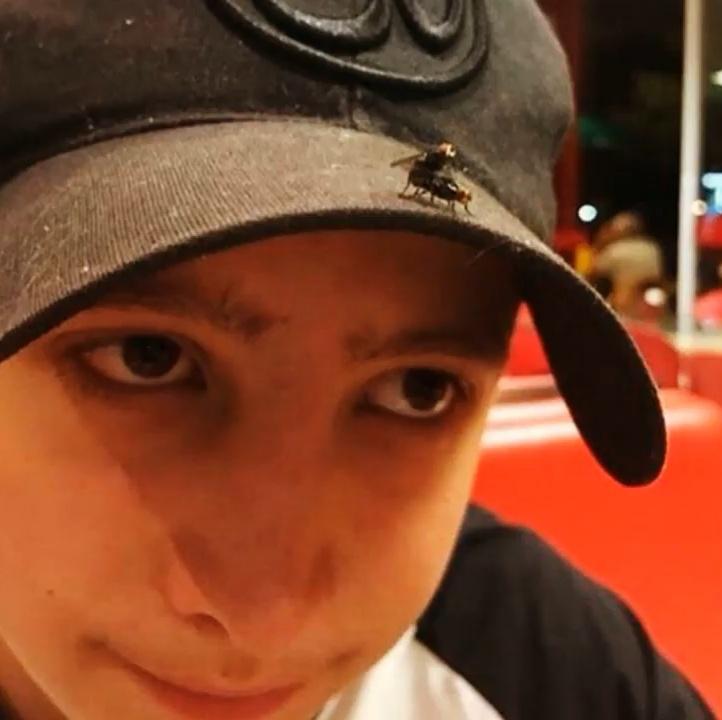 Cursed_Fly | Scrolller